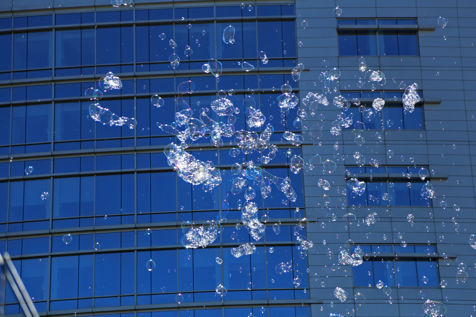 Bubbles, bubbles everywhere - cleveland.com