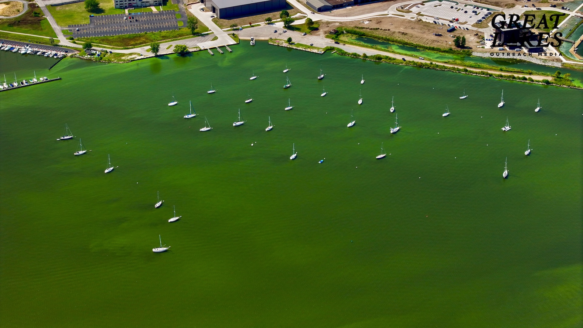 Muskegon Lake plagued by harmful algae bloom - mlive.com
