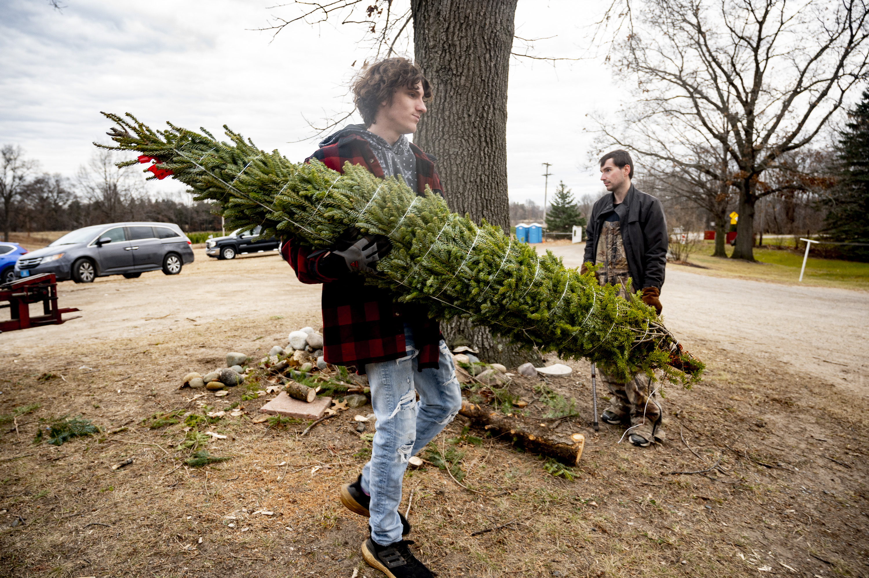 Arend Tree Farm continues four-generation tradition of Christmas U-Cut ...