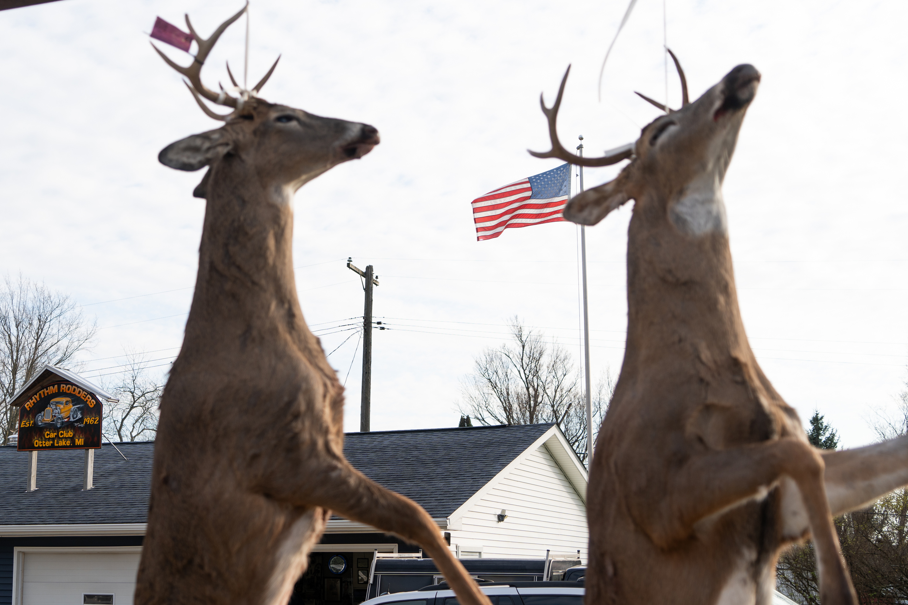 Hunters make their way to the buck poles on opening day - mlive.com