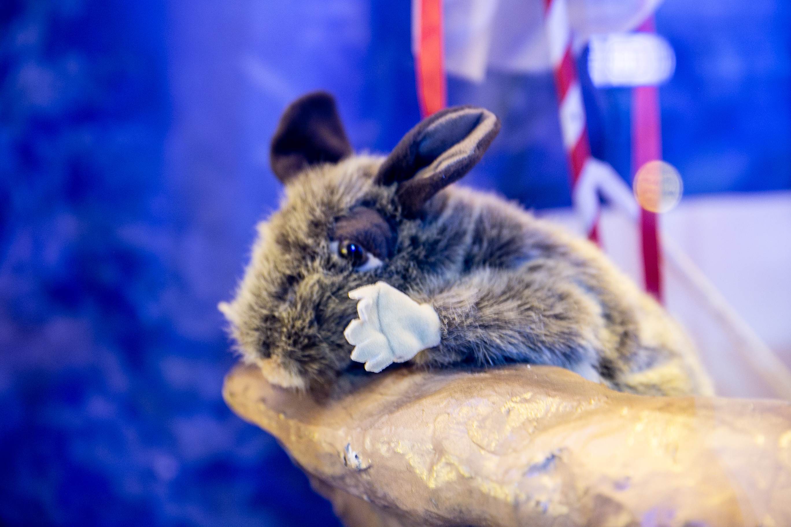 Historic Higbee windows showcase "The Nutcracker" at JACK Casino ...