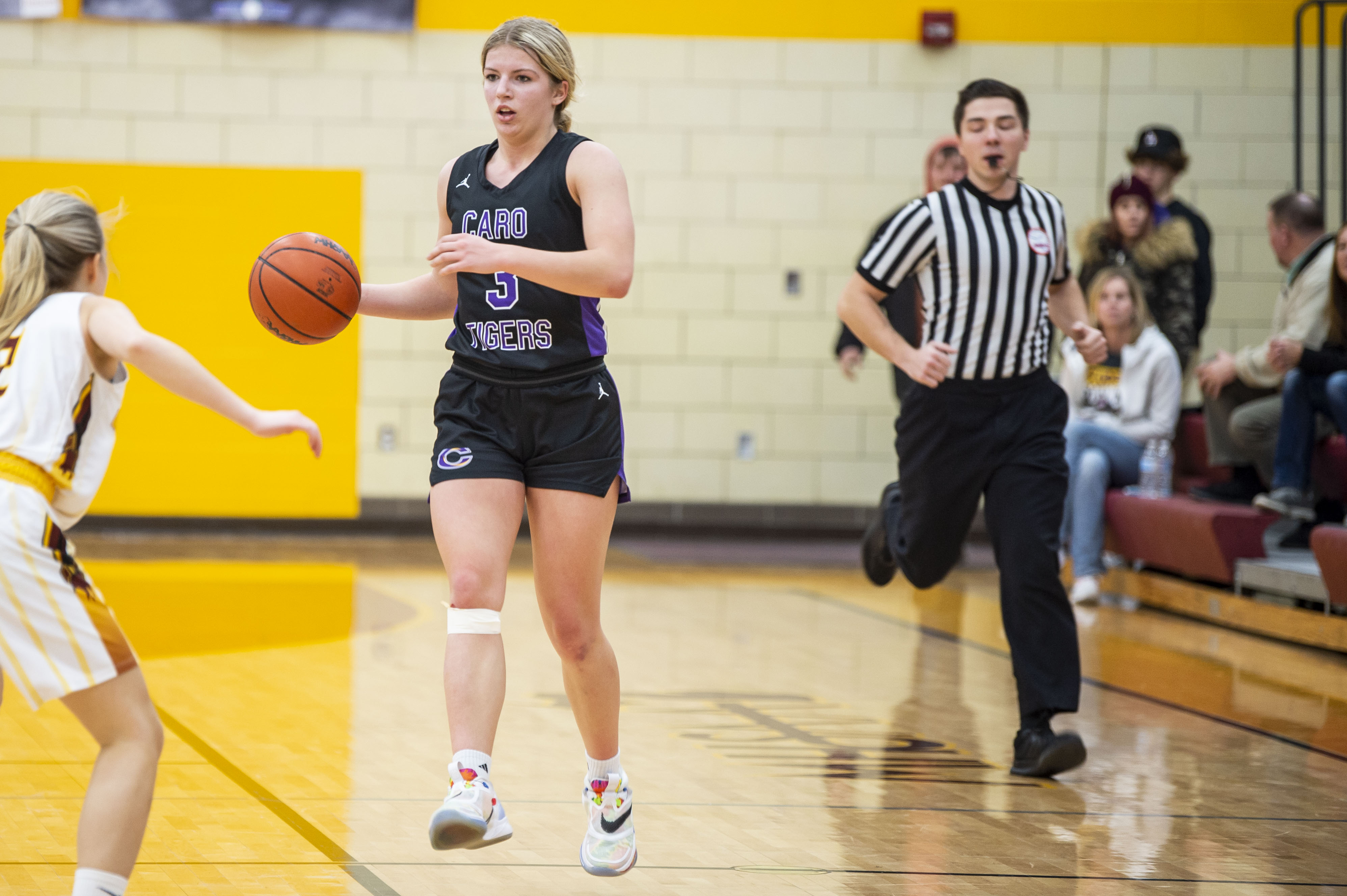 Reese girls basketball defeats Caro - mlive.com