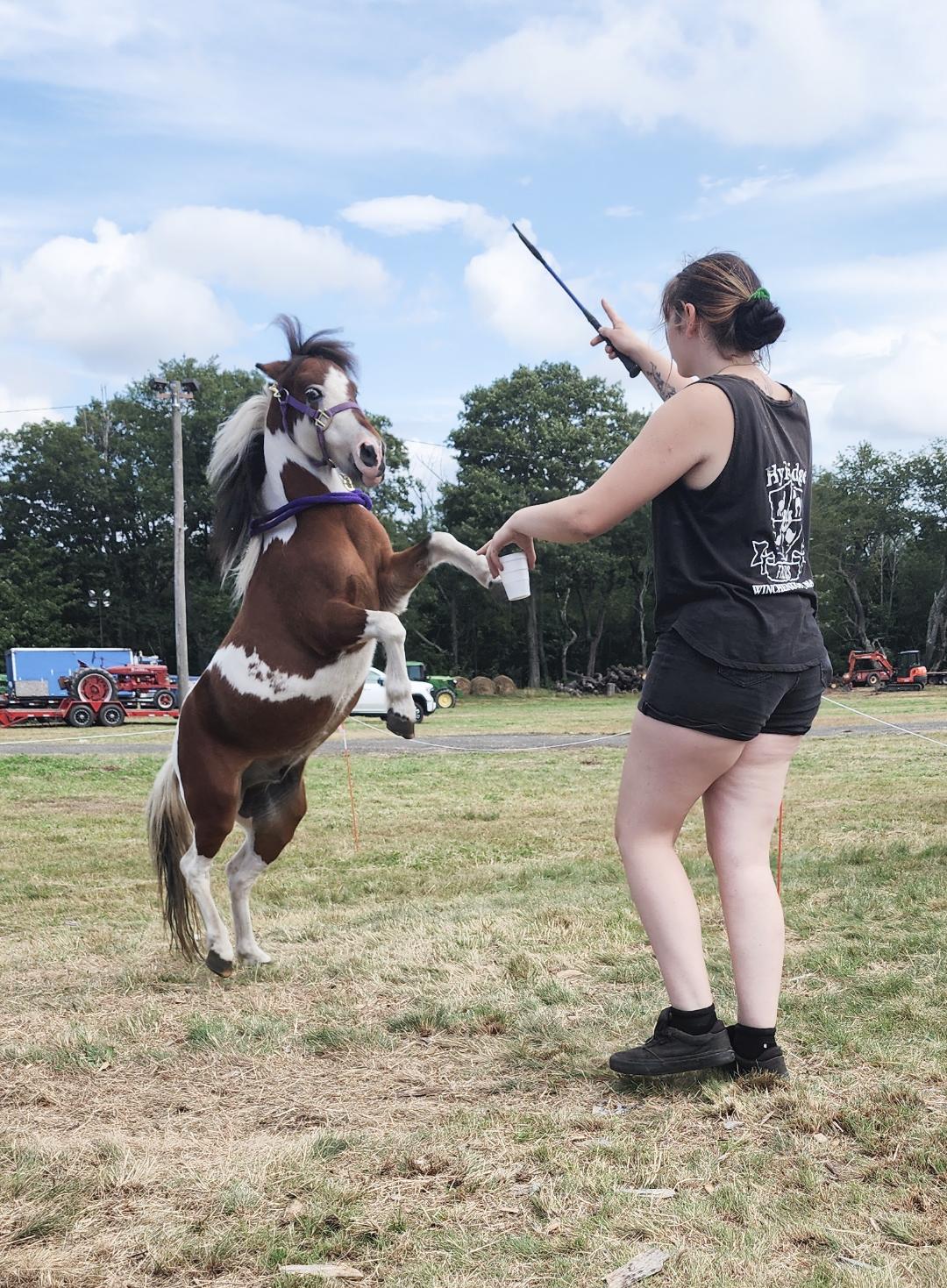 Blandford Fair 2024 (photos) - masslive.com