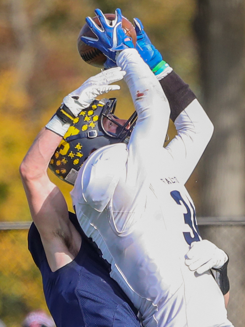 Jefferson defeats Rutherford in North Section 2, Group 2 final - nj.com