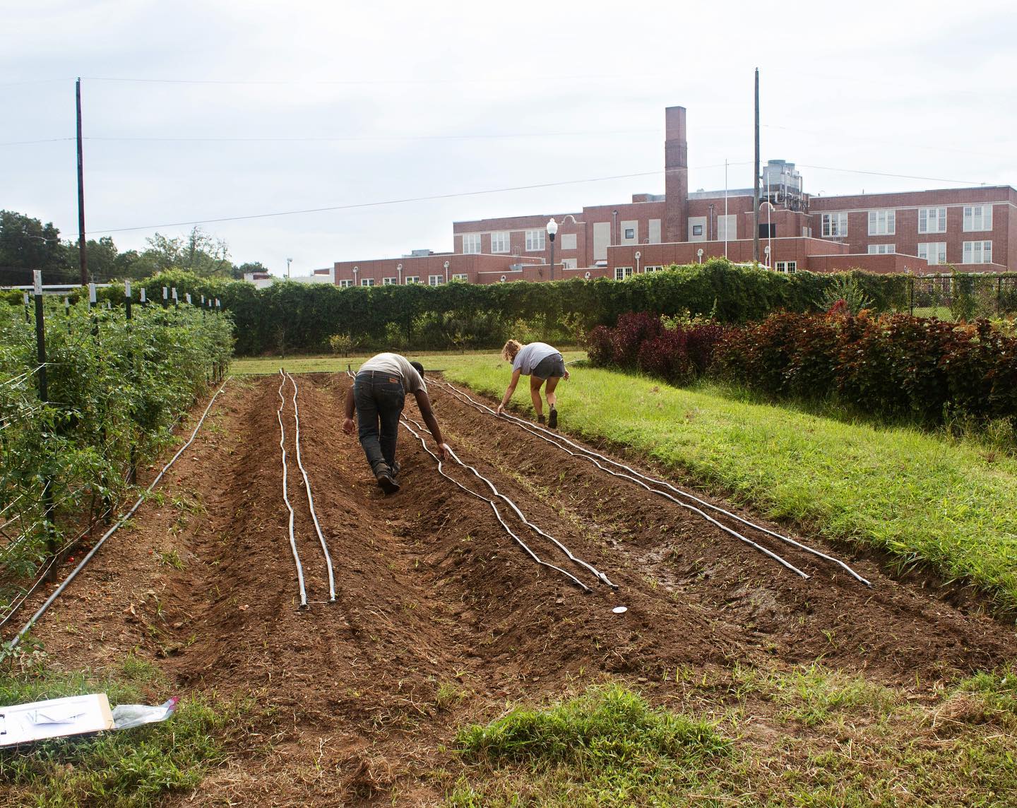 Jones Valley Teaching Farm - al.com
