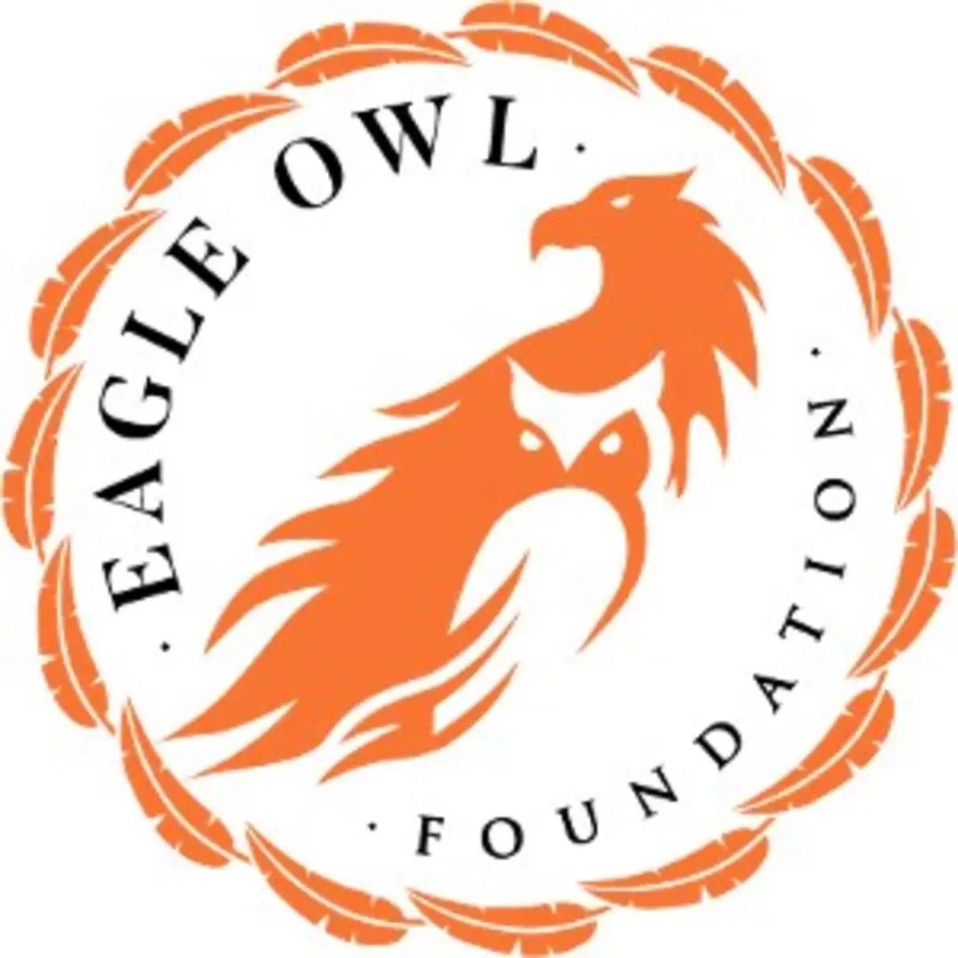 Eagle Owl Foundation in Palmer aims to support birds of prey - masslive.com