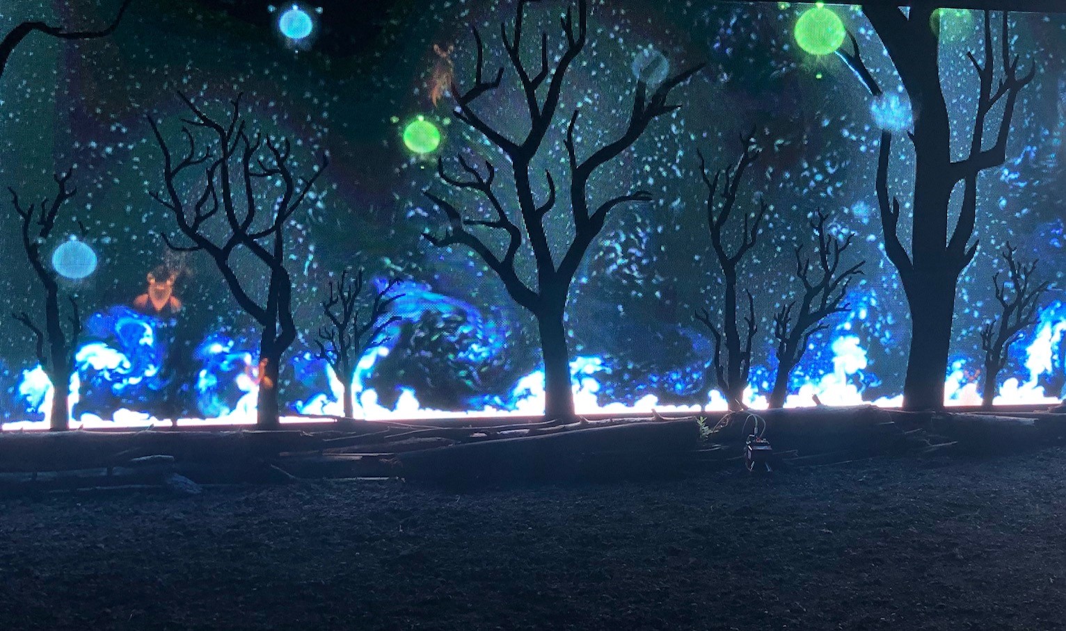 Glenlore Trails forest light show experience - mlive.com