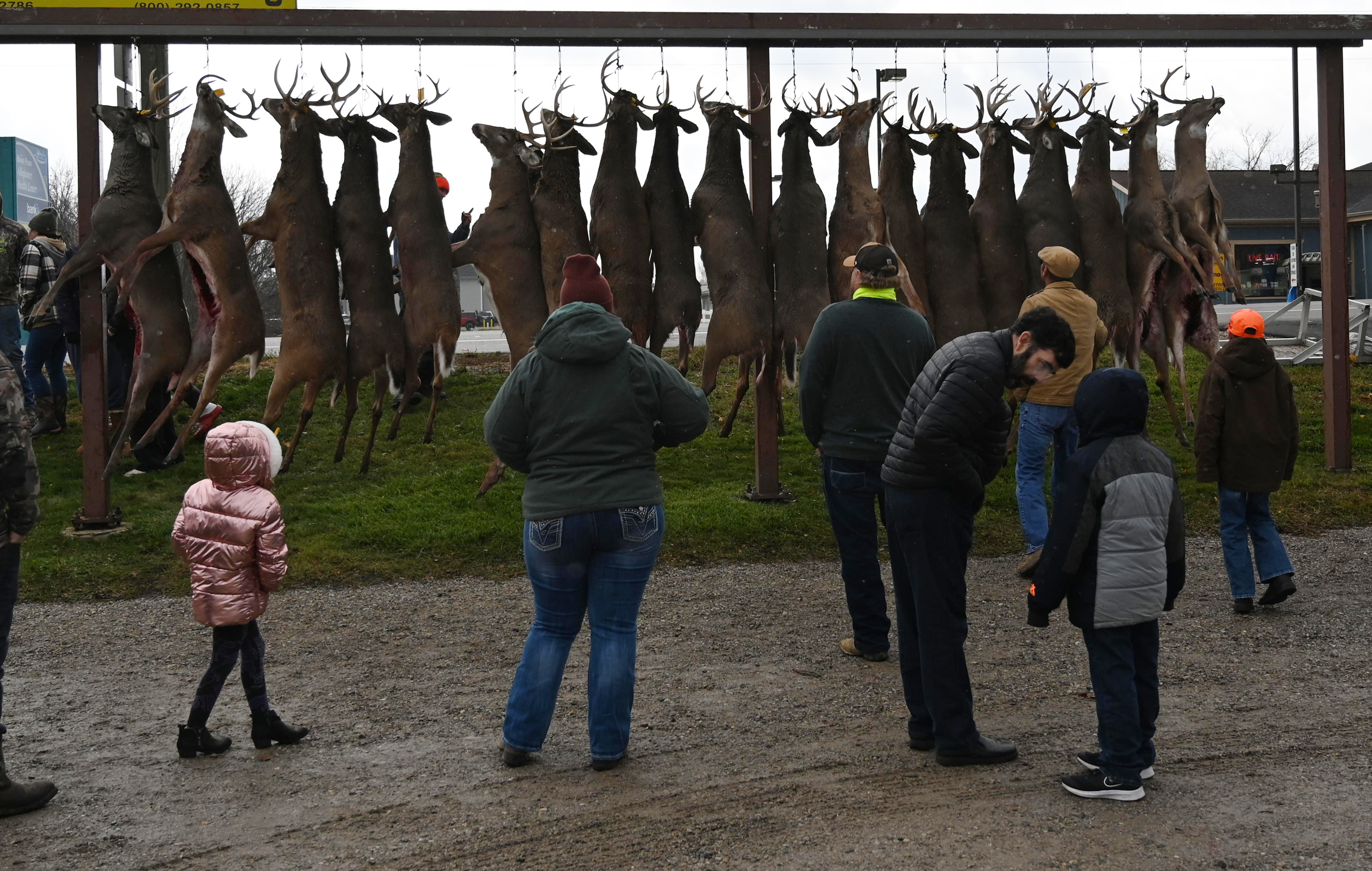 Buck poles at Jerome Country Market and Knutson's on the first day of ...