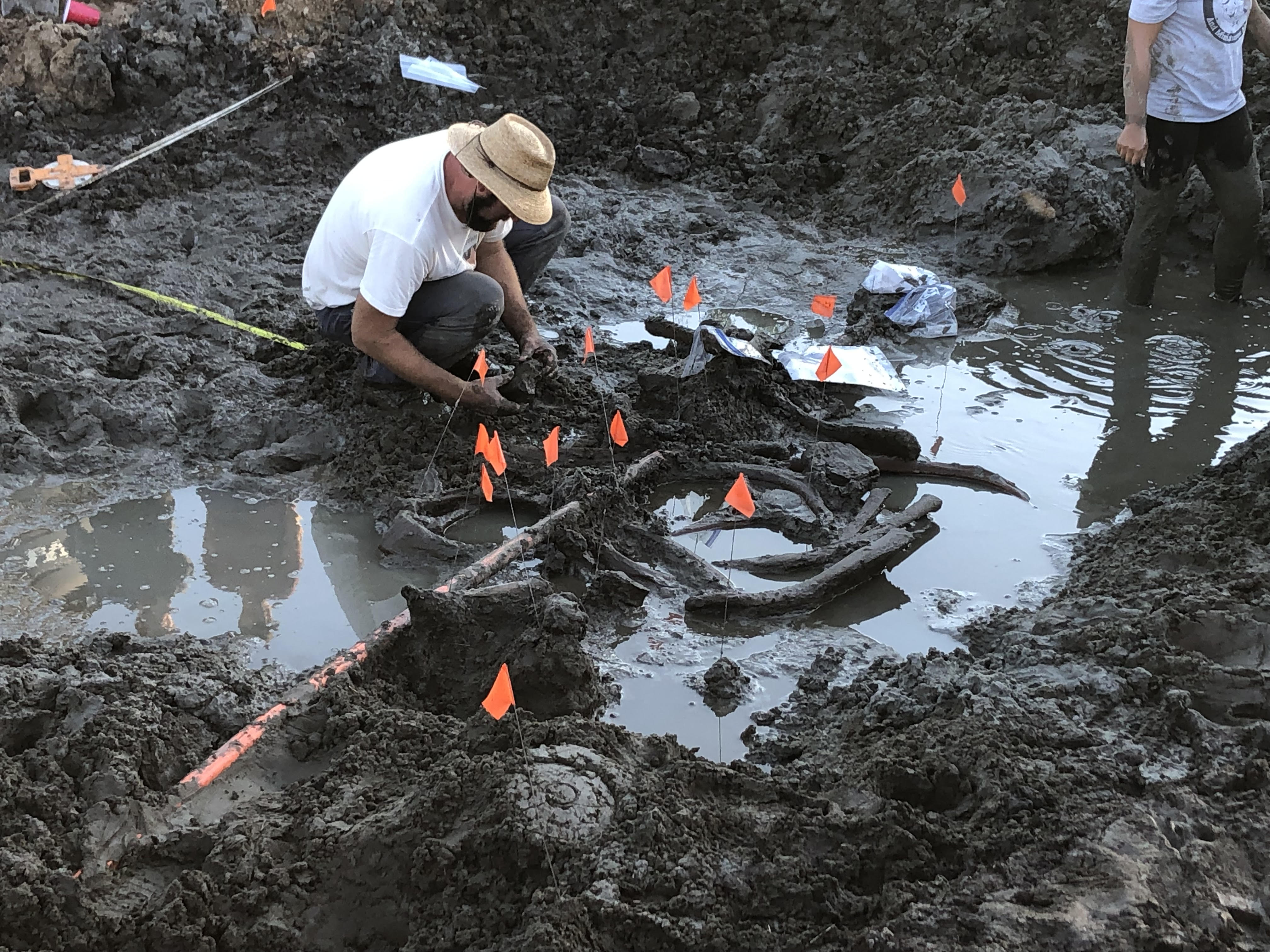 Mastodon bones - mlive.com