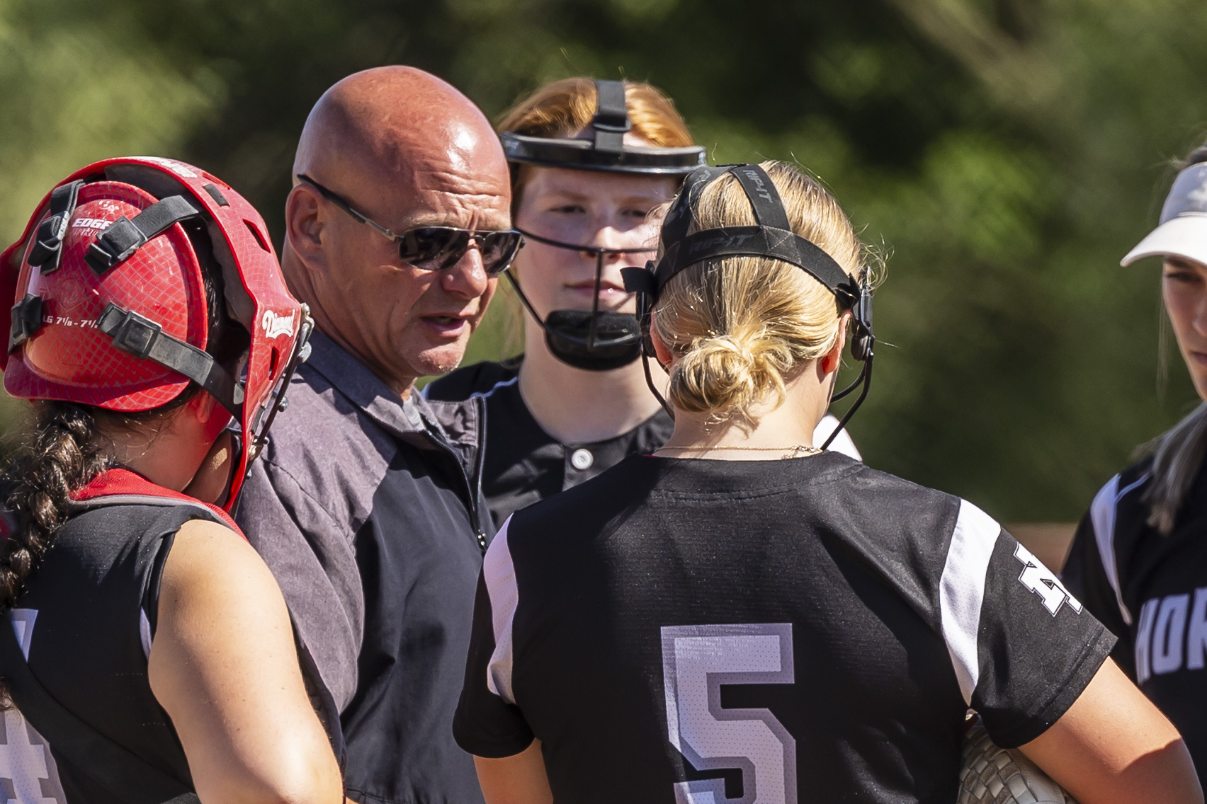 Clare softball defeats New Lothrop in quarterfinal game - mlive.com