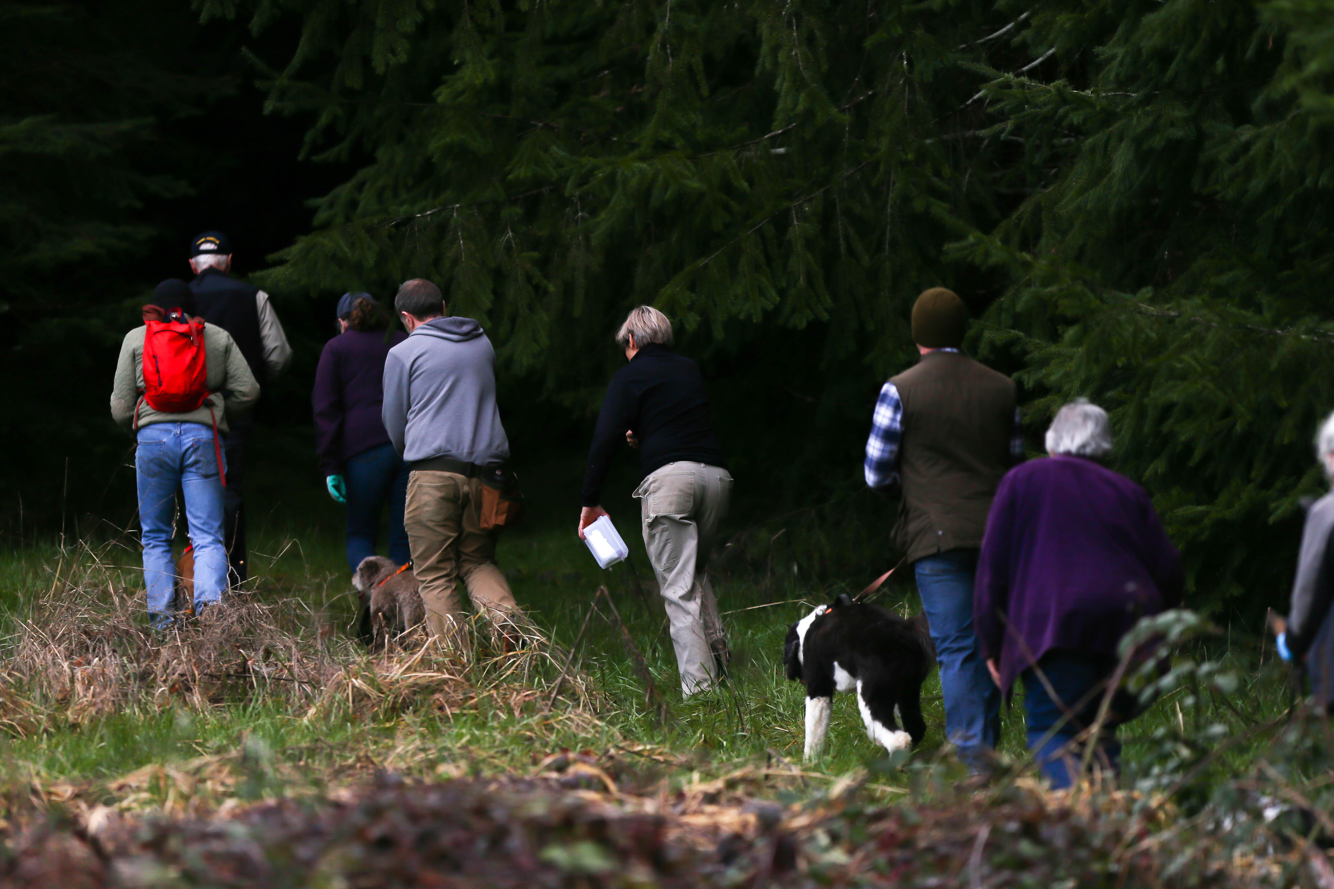 2022 North American Truffle Dog Championship - oregonlive.com