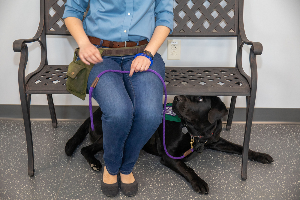 Susquehanna Service Dogs opens new training center in East Hanover ...