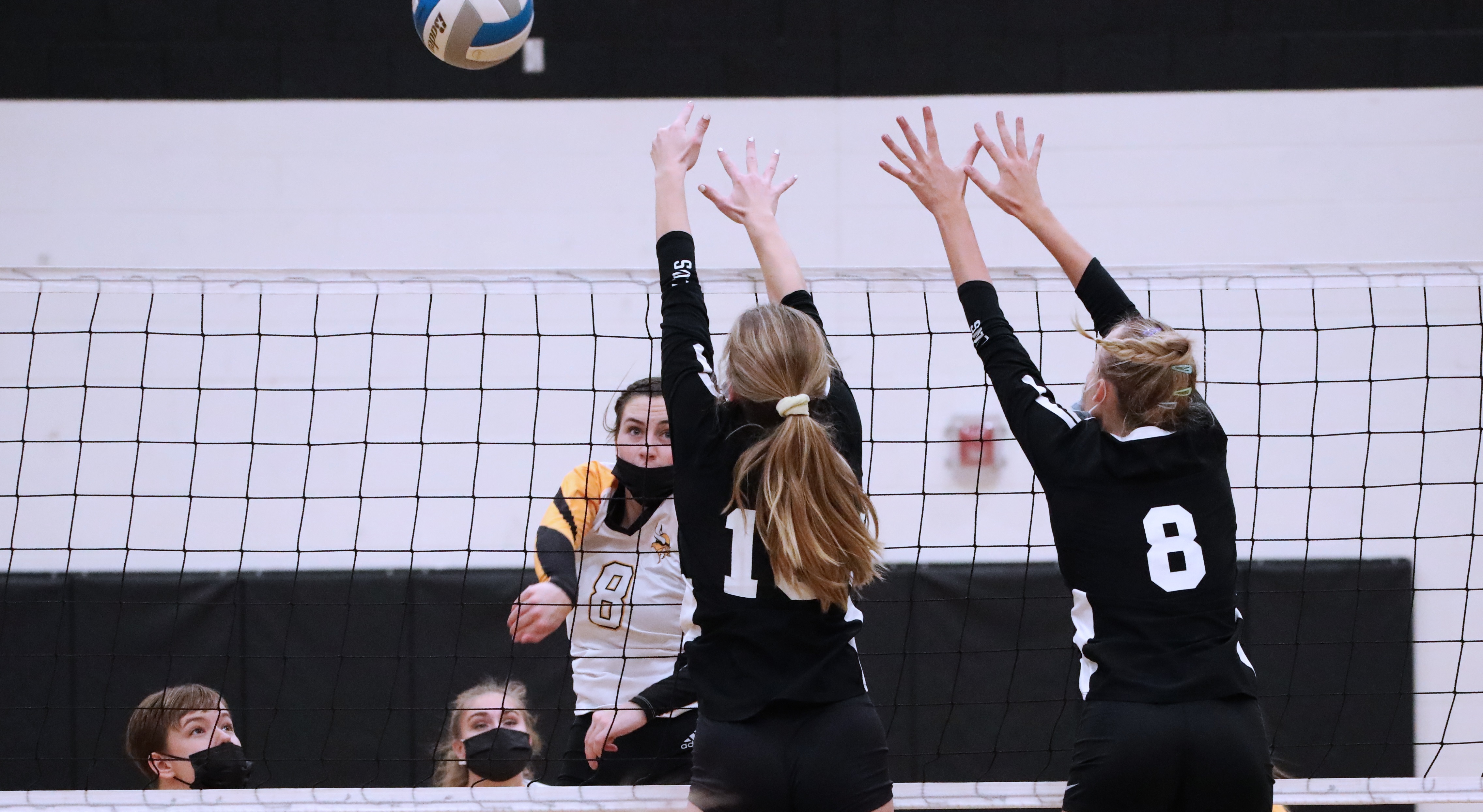 Newaygo volleyball team wins share of 2020 CSAA Gold Division title ...