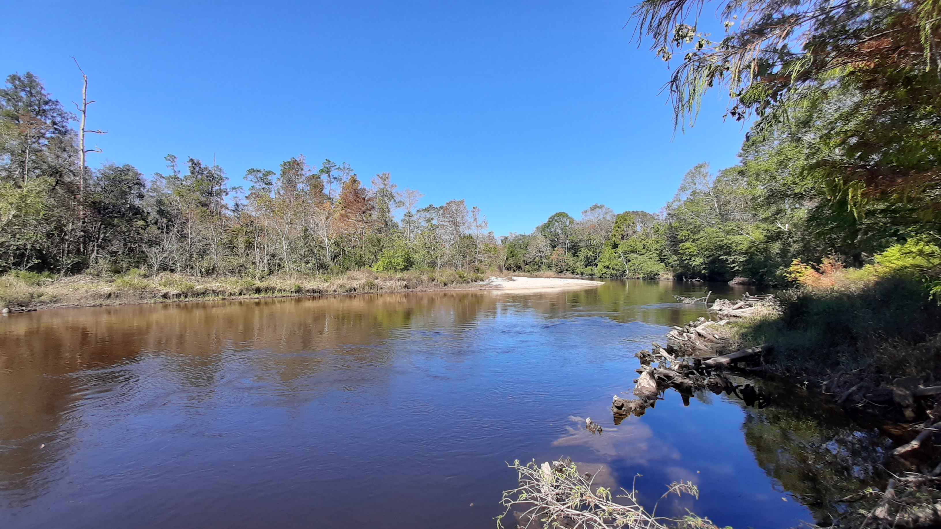 Perdido River Canoe Trail - al.com
