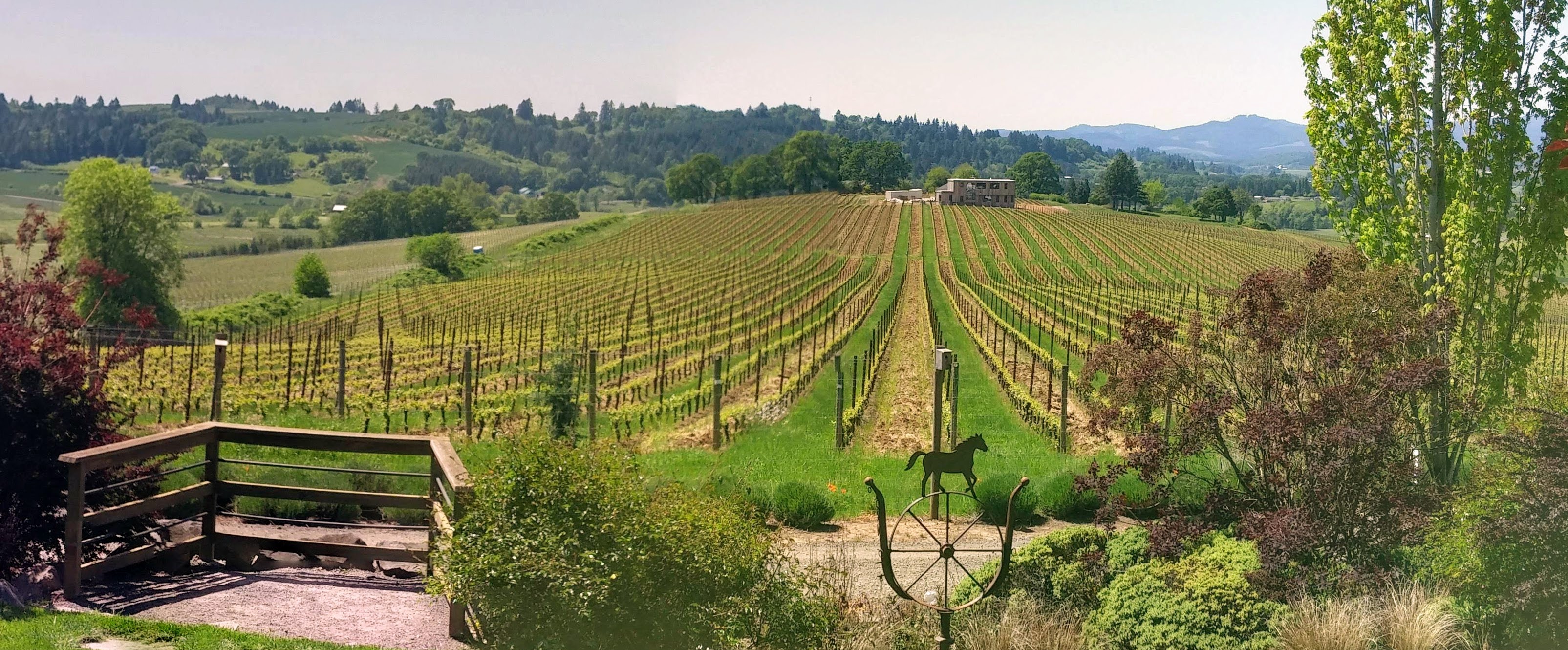 Lenné Estate winery is sold - oregonlive.com