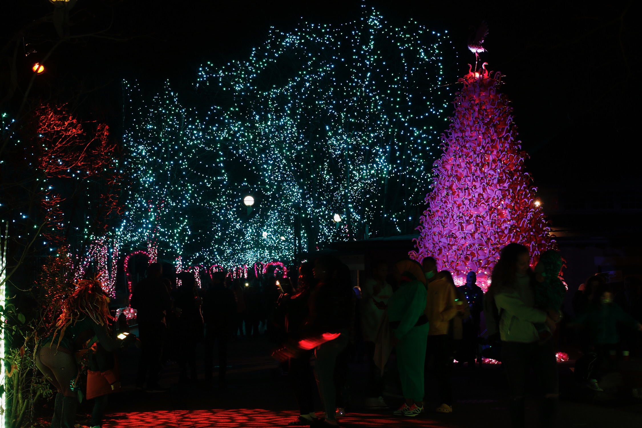 The Philadelphia Zoo LumiNature holiday 2022 light show - pennlive.com