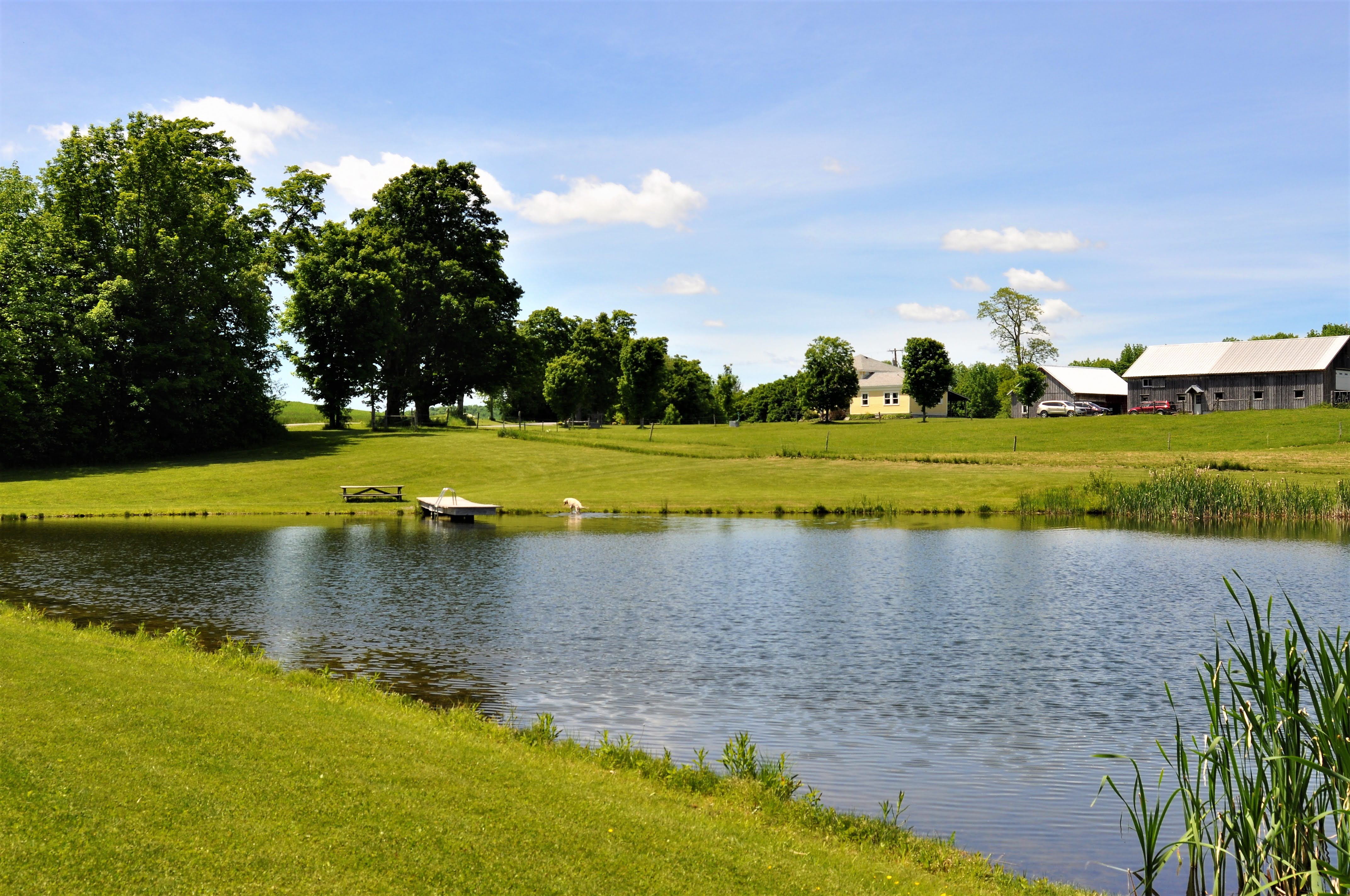123-acre Lincklaen farm has enormous agribusiness potential - syracuse.com