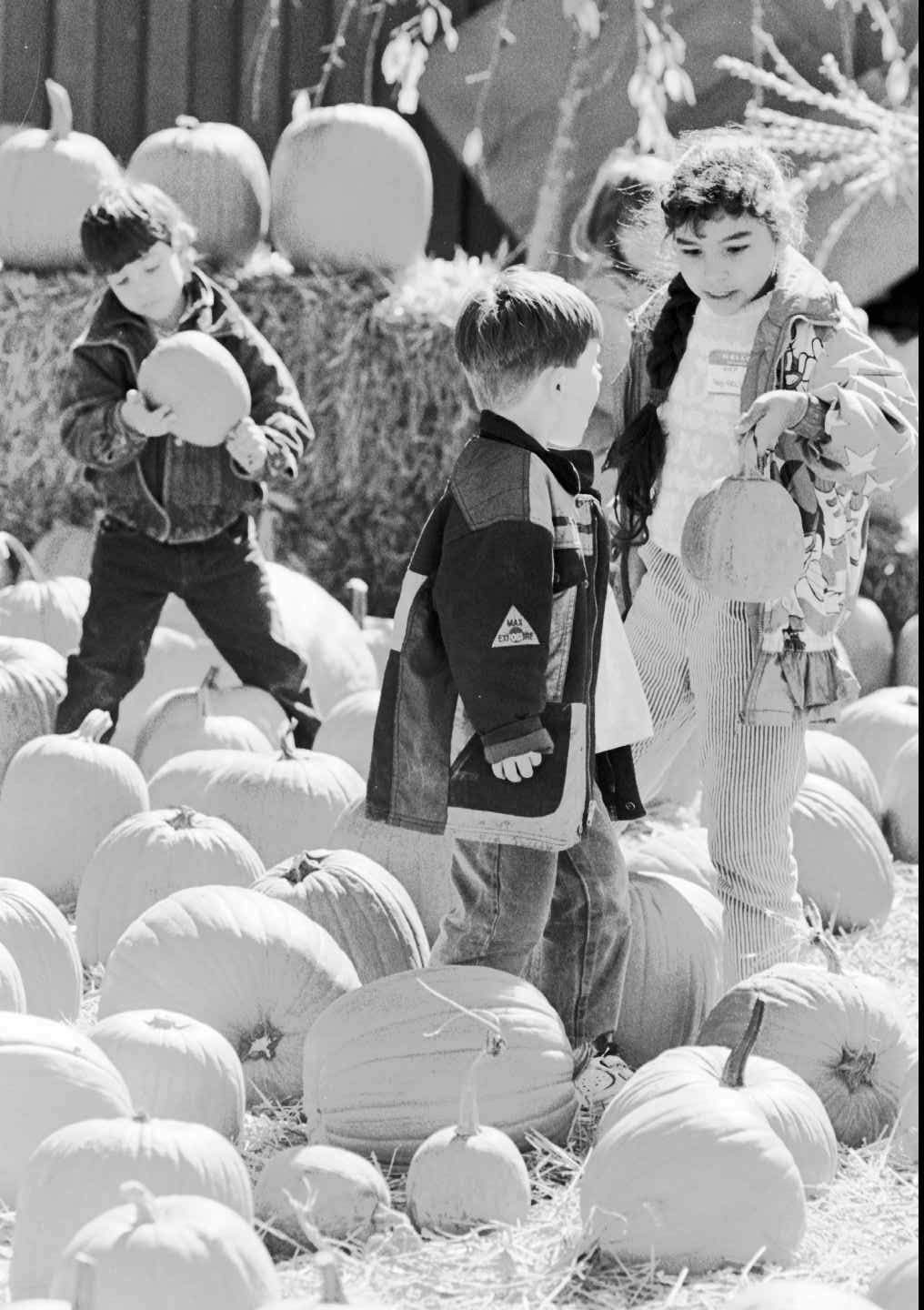 Staten Island pumpkin fun | Then and now - silive.com