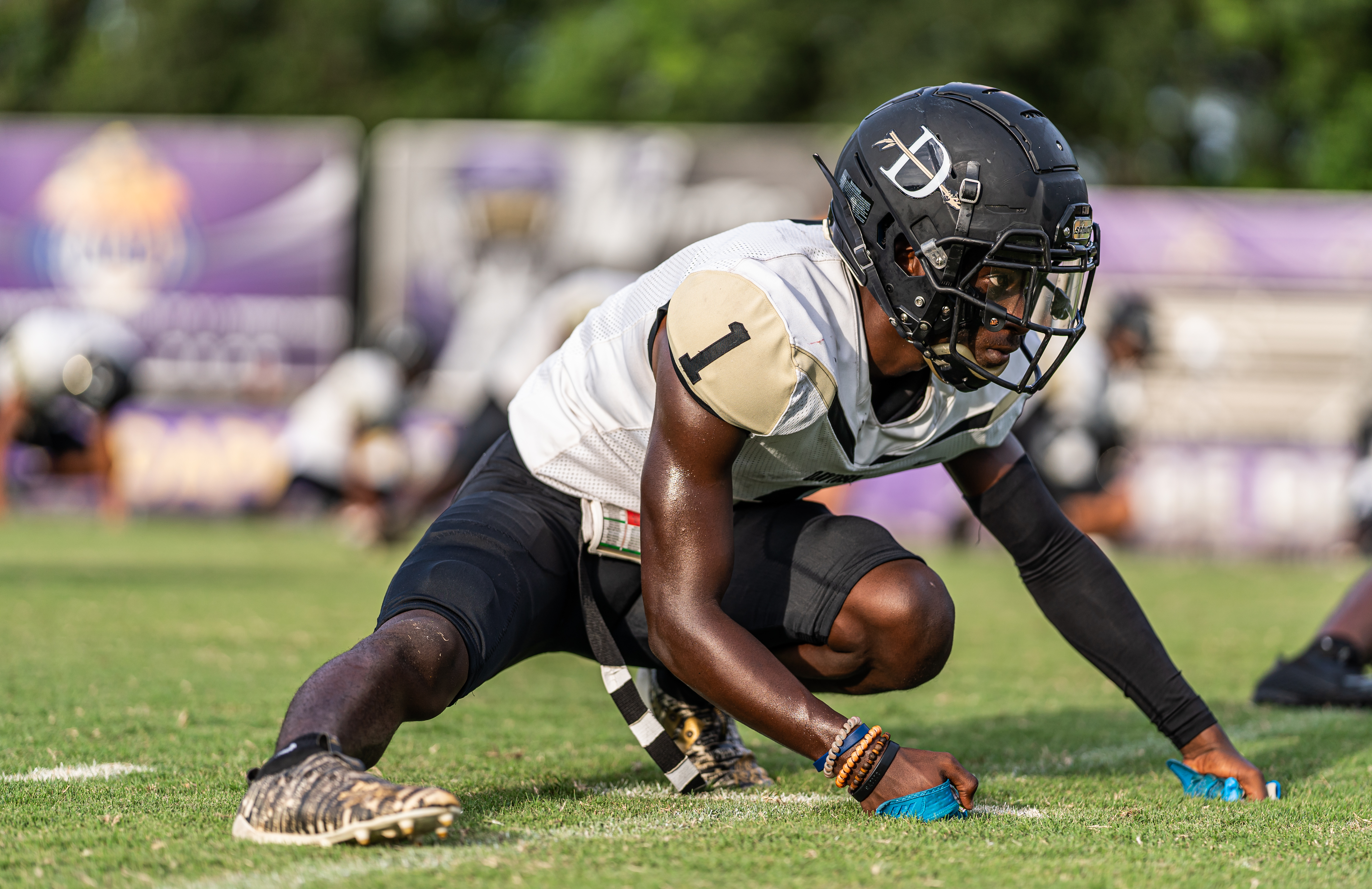 Daphne vs. Davidson Football - al.com