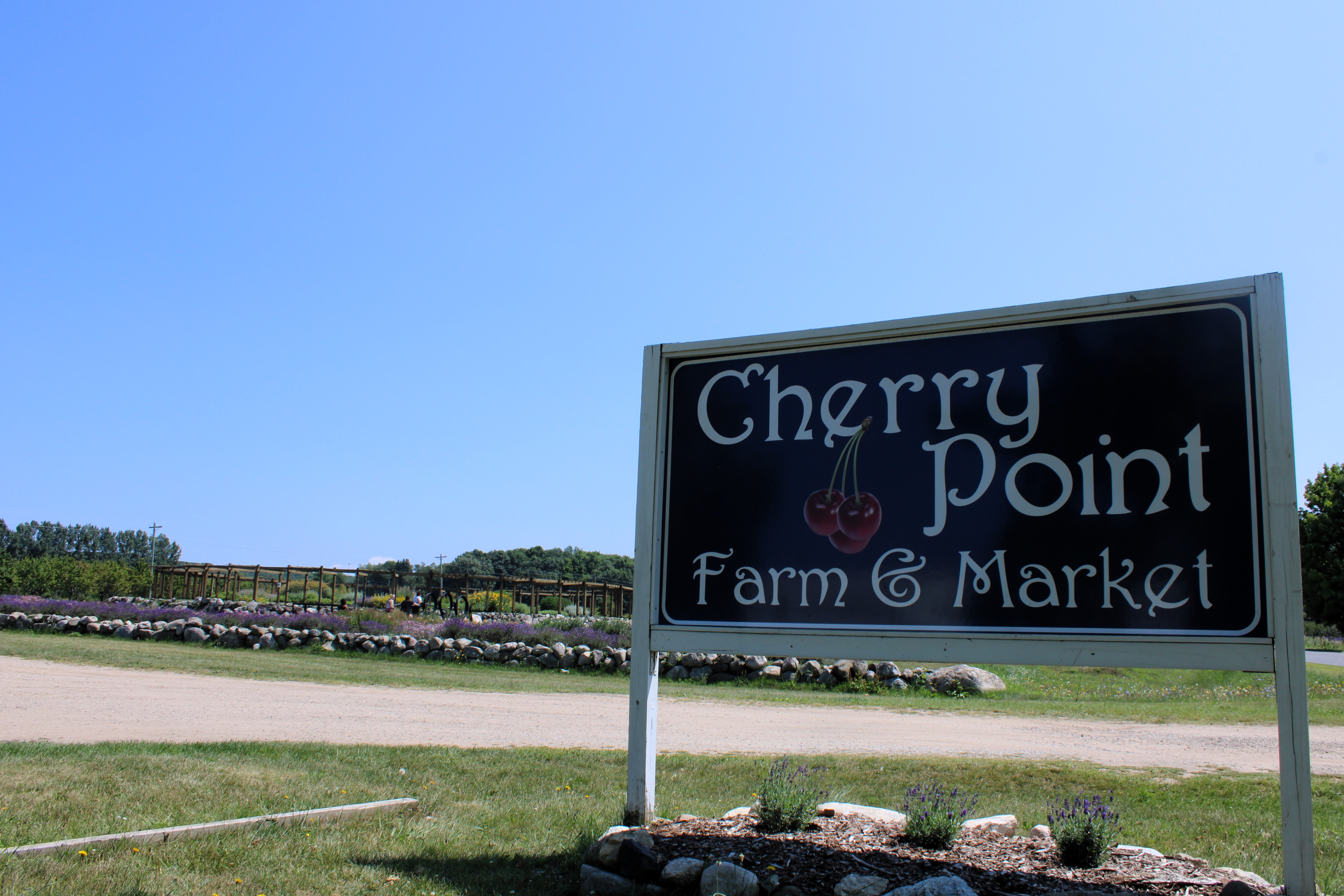 Lavender labyrinth is surprising treat at Michigan road-side market ...