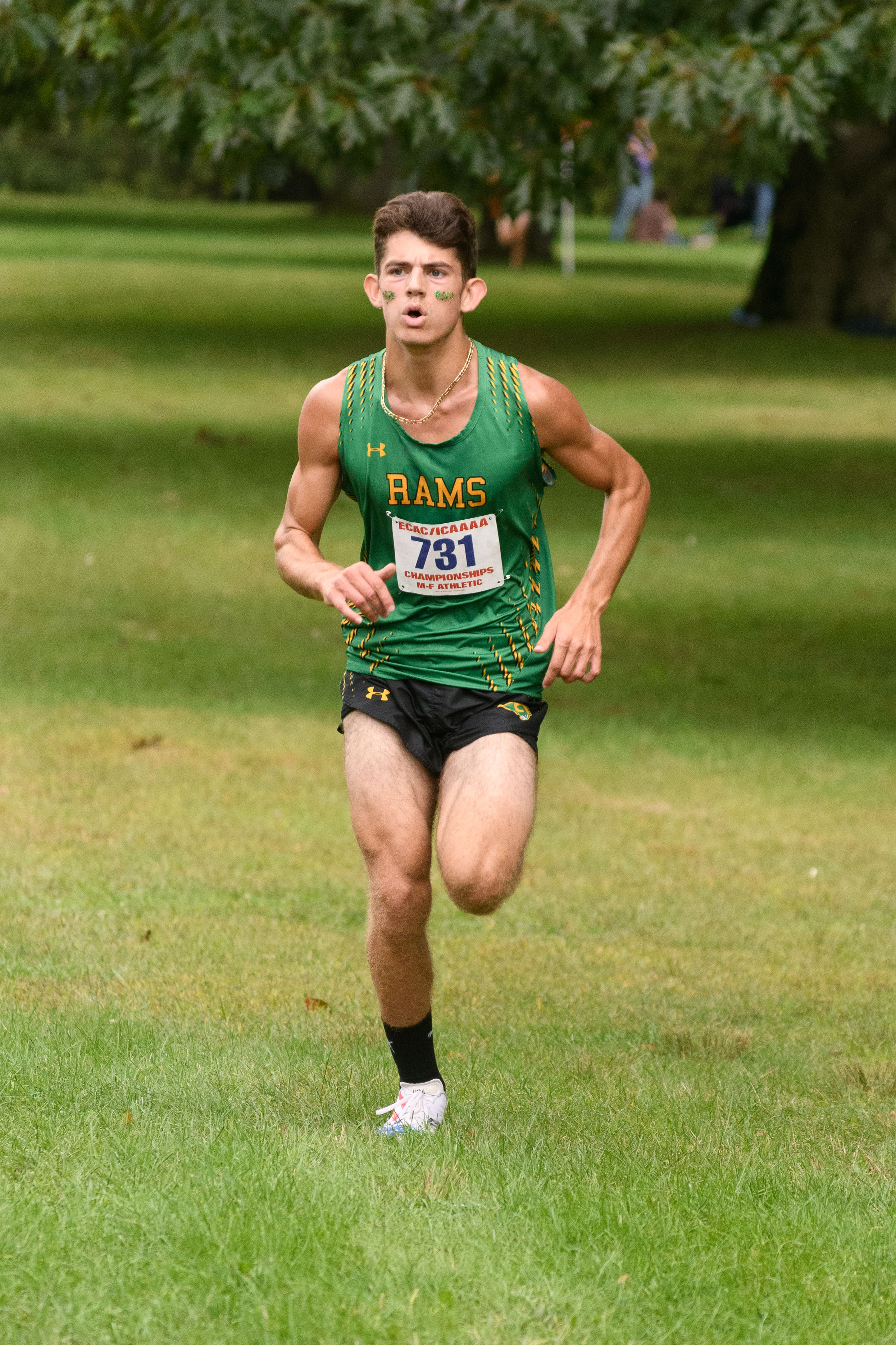 Westfield Cross Country Meet at Stanley Park - masslive.com