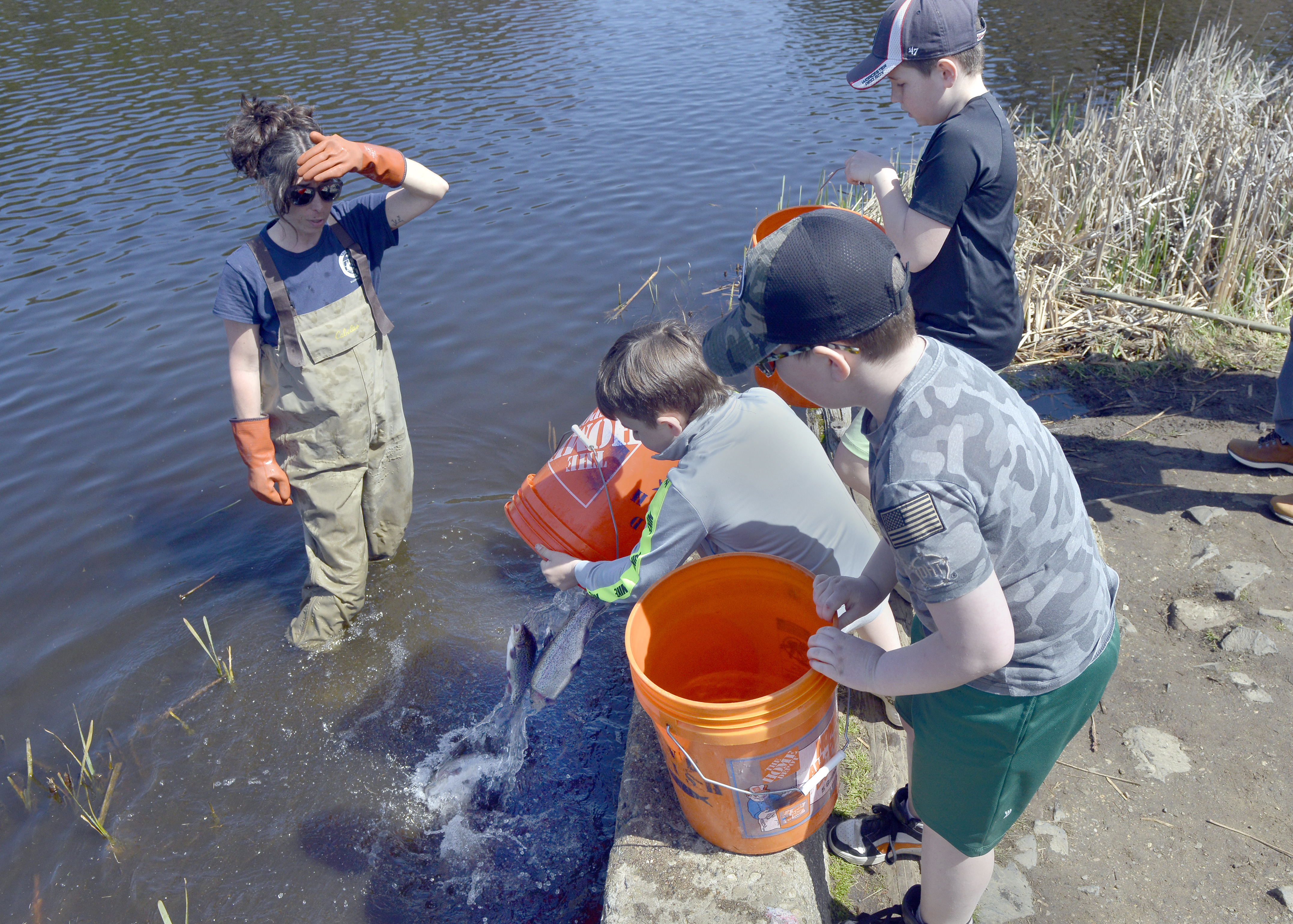 Trout stocking Chicopee - masslive.com