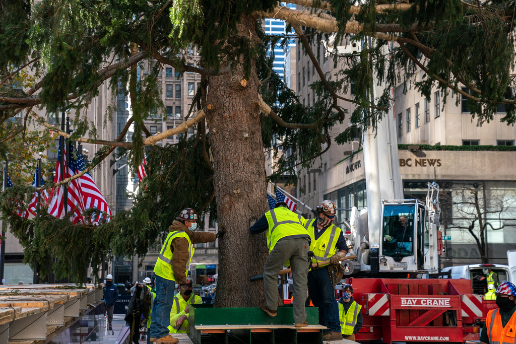 2020 Rockefeller Center Christmas tree arrives to NYC - silive.com