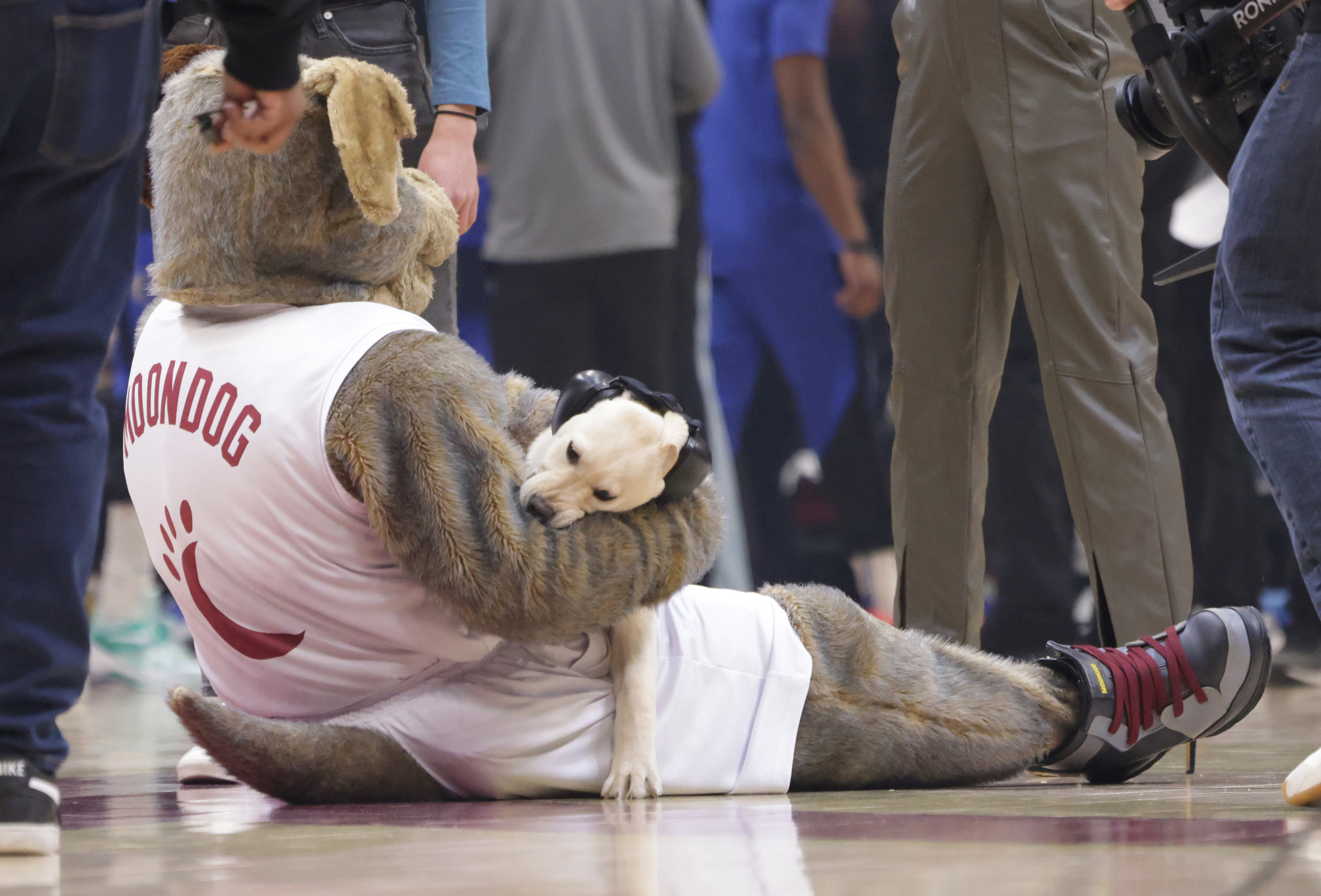 Cleveland Cavaliers vs Dallas Mavericks, February 2, 2025 - cleveland.com