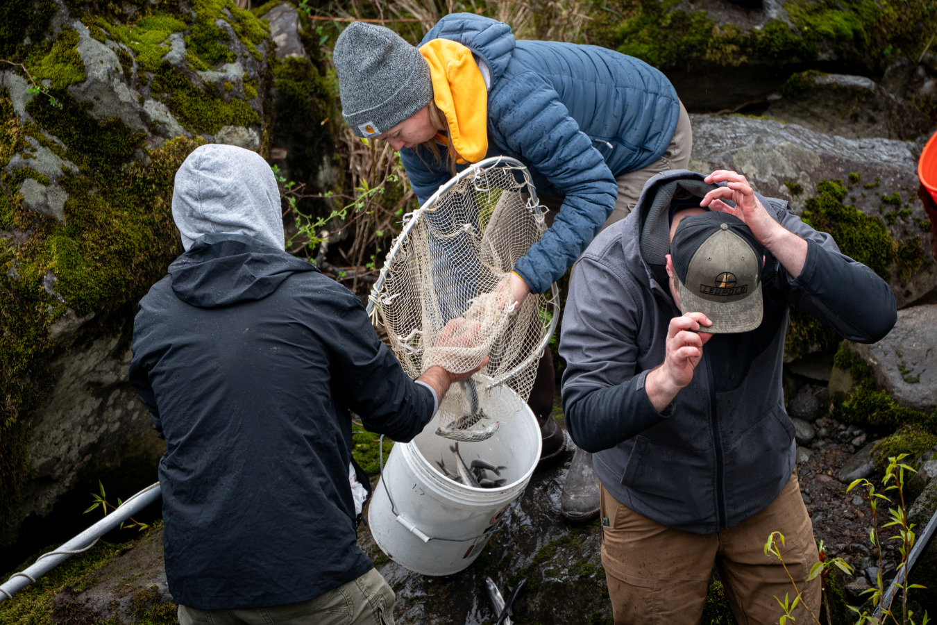 Sandy River smelt run 2025 - oregonlive.com
