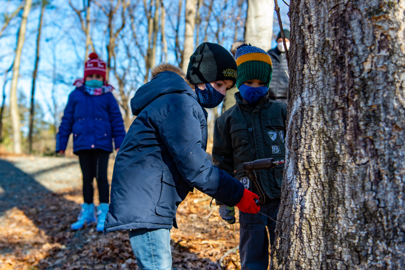 Hyperlocal Maple Sugaring - nj.com