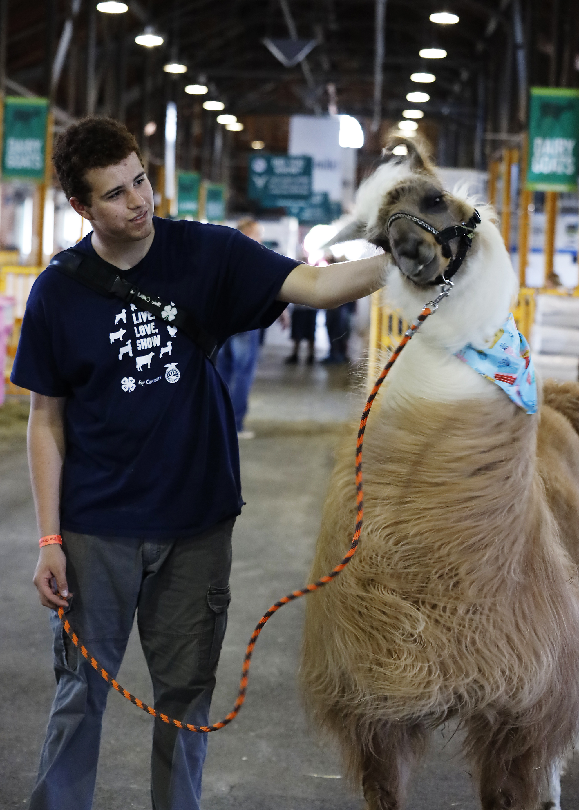 Scenes from the 2022 NYS Fair - syracuse.com