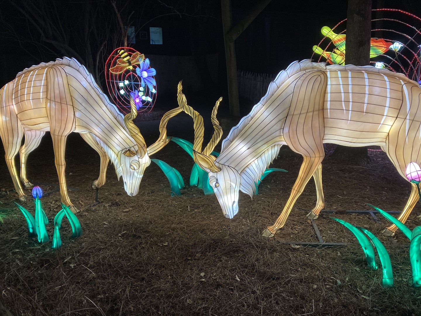 Glow Wild at Birmingham Zoo - al.com