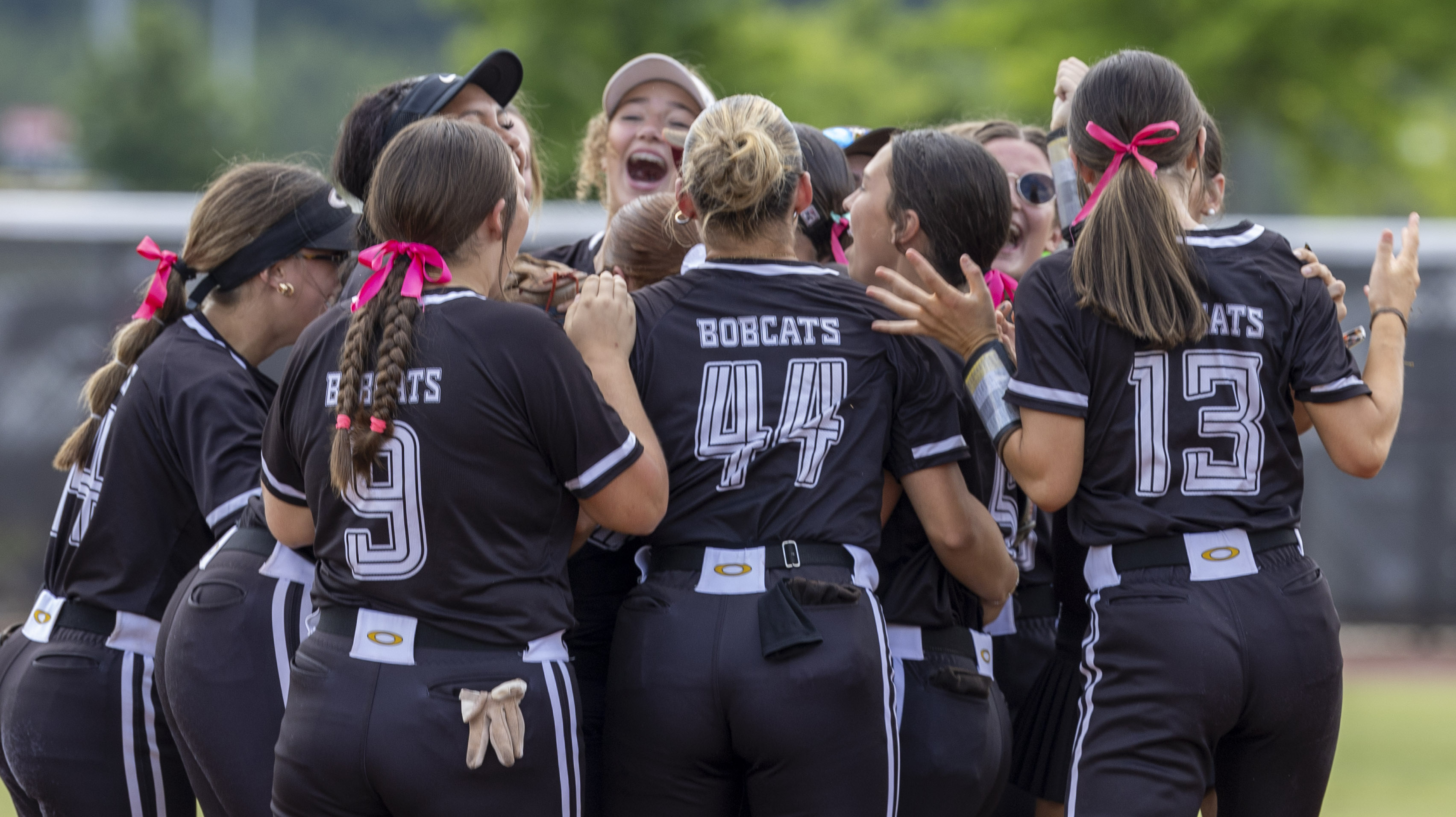 AHSAA 3A Softball Championship - al.com