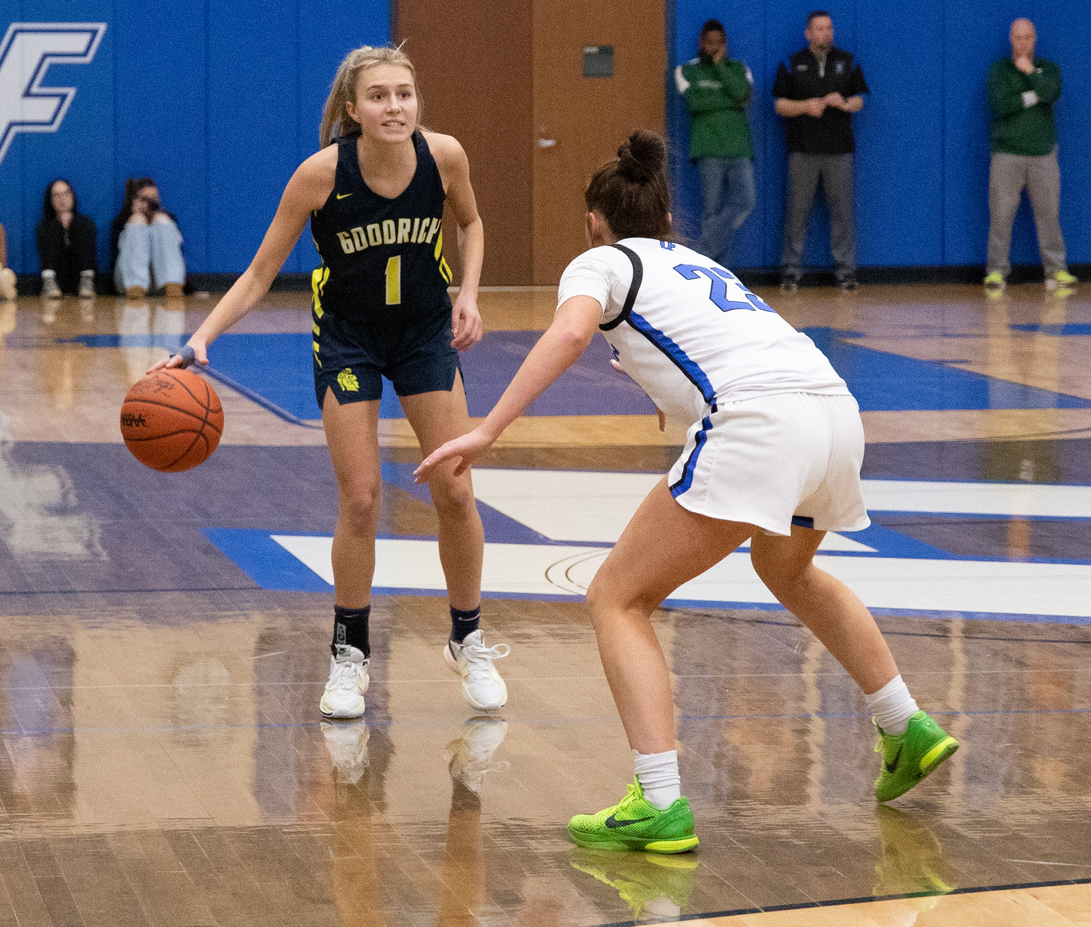 Goodrich at Lake Fenton Girls Basketball - mlive.com