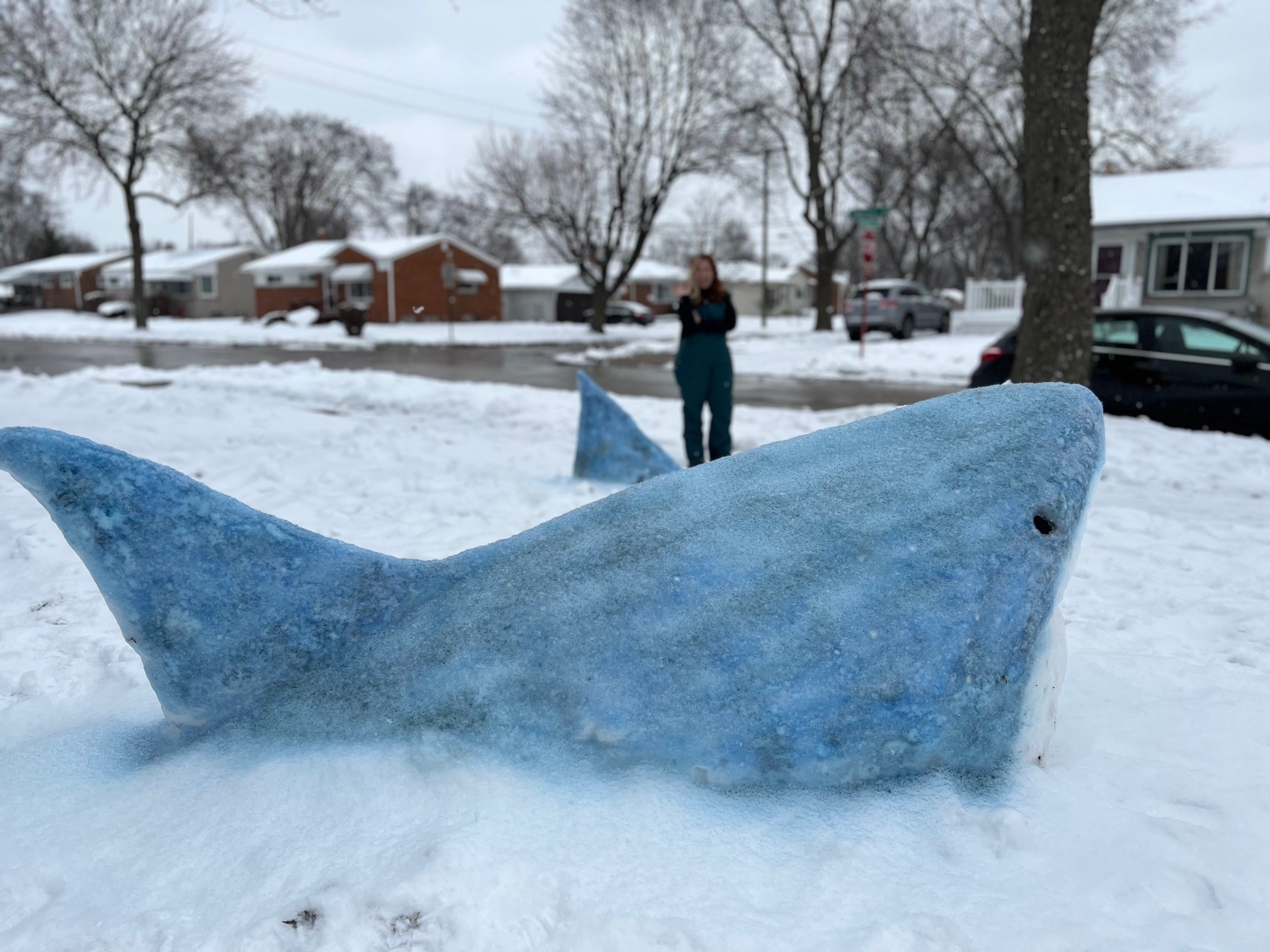 Michigan woman creates snow sharks on her front lawn. - mlive.com