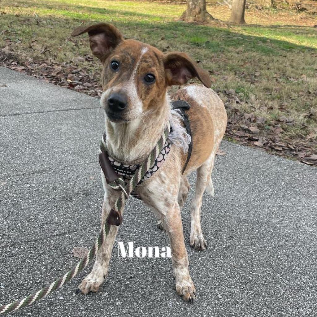 Early Spring? Let’s hope so. Open your doors to an adoptable pet. Feb 4 ...