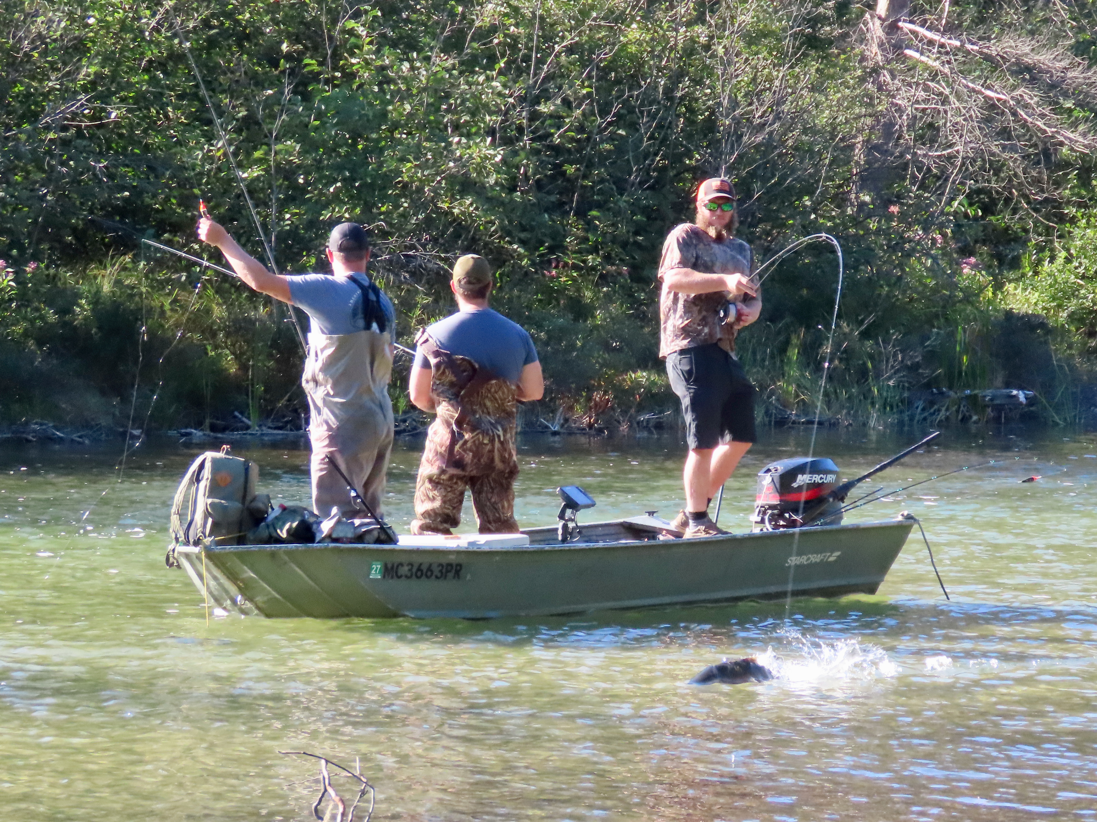 2024 Platte River salmon runs begins - mlive.com