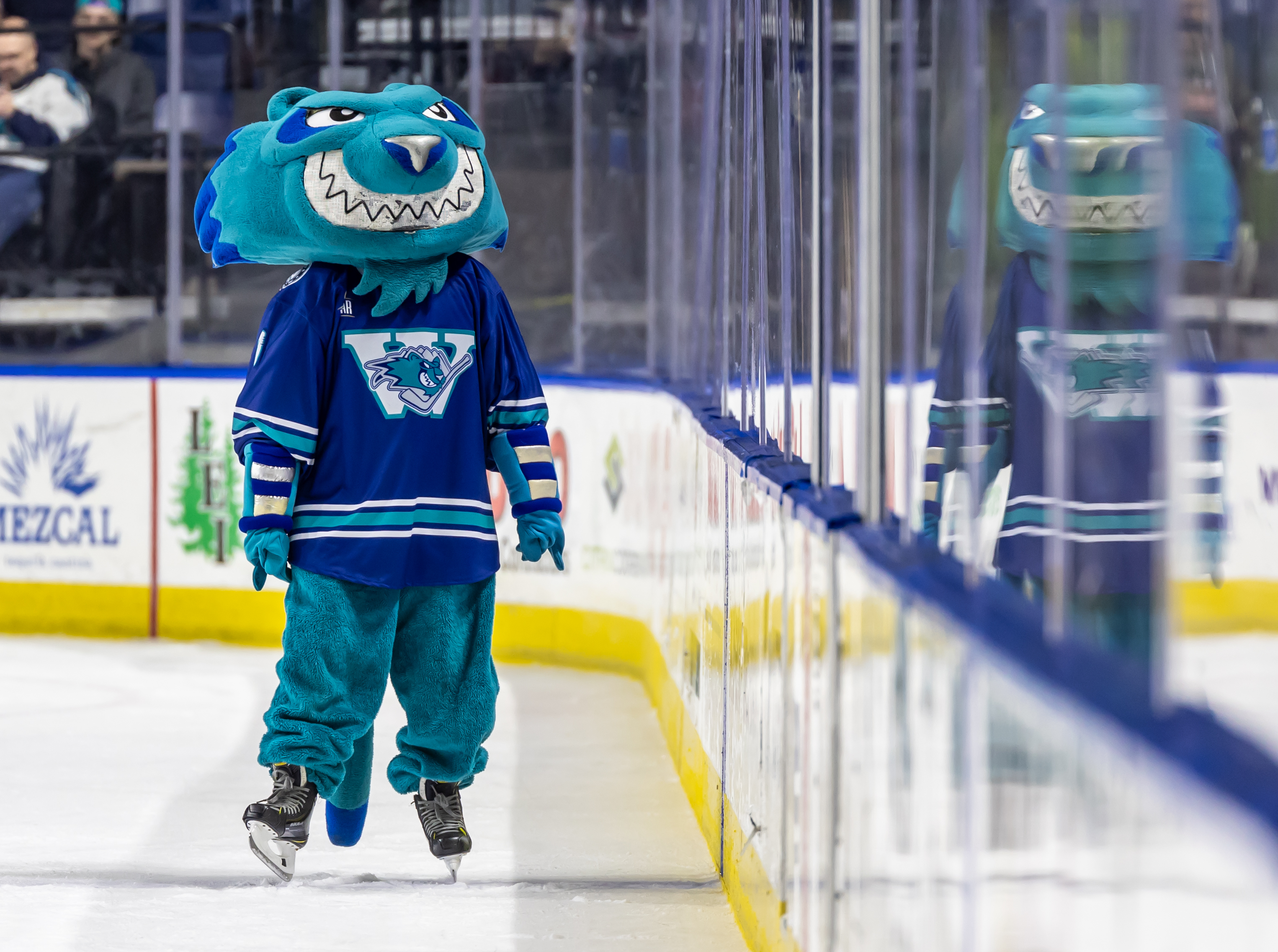Worcester IceCats Night at the DCU Center - masslive.com