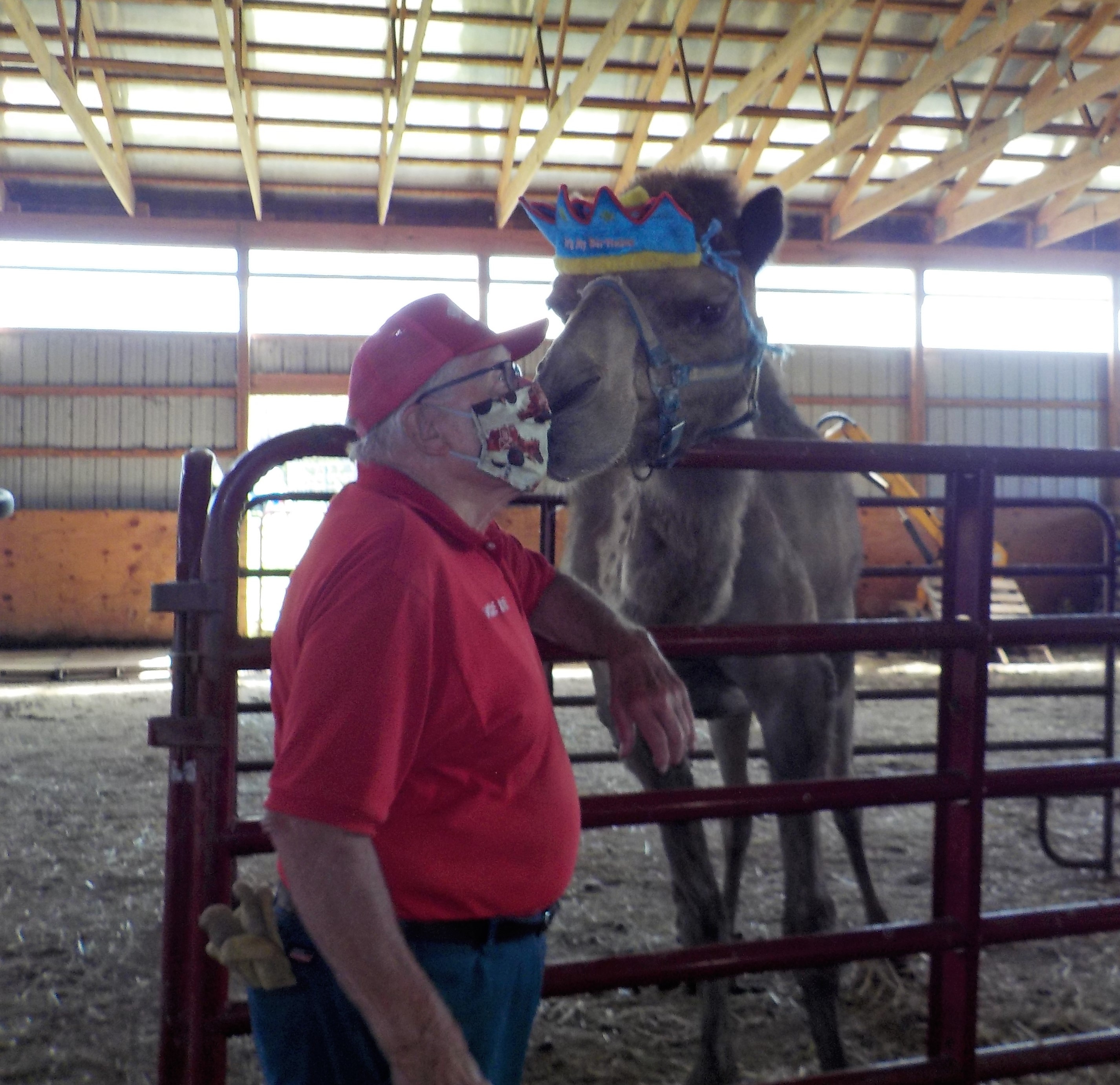 Fun on the Farm - cleveland.com