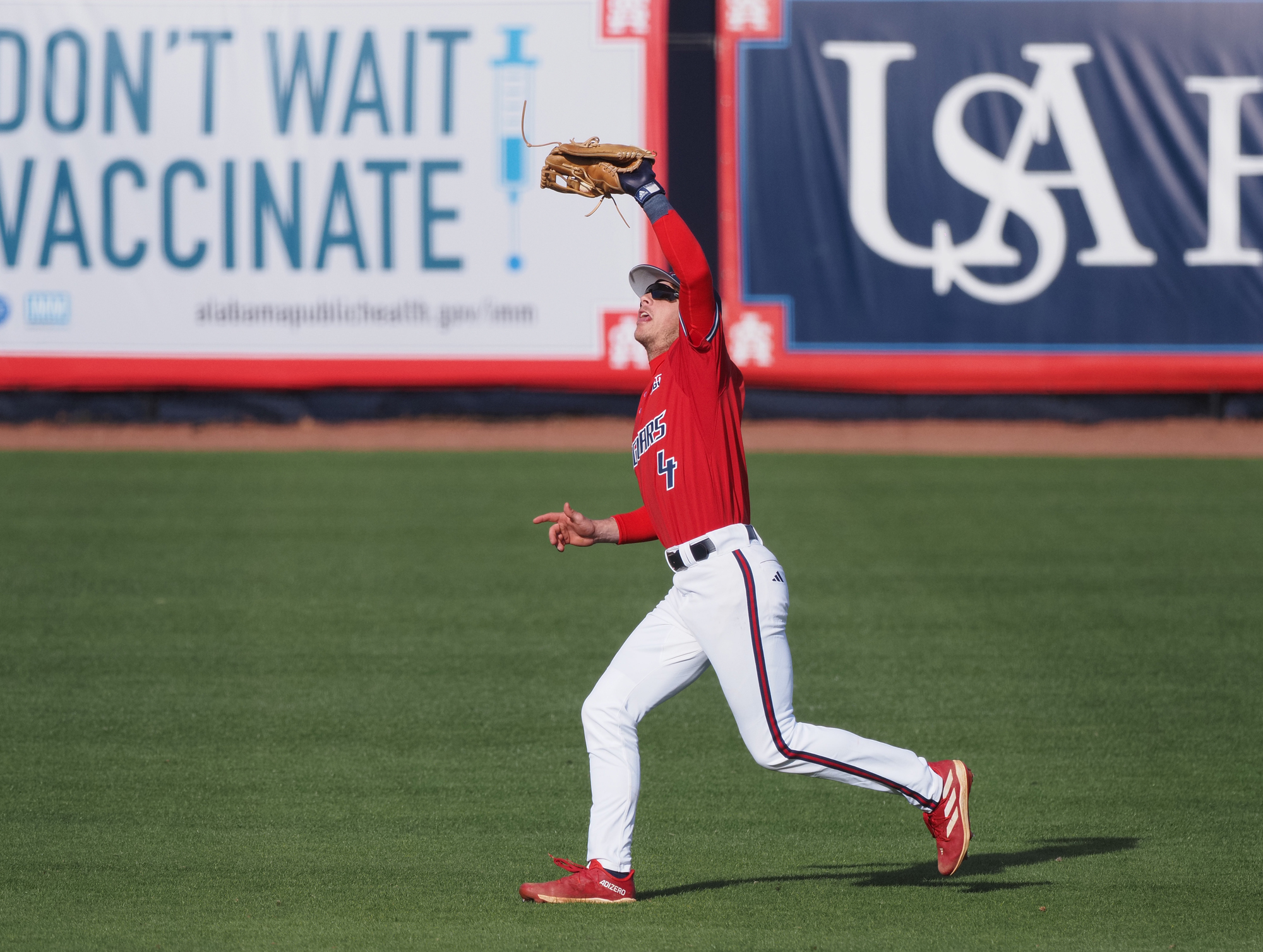 Southern Indiana at South Alabama baseball - al.com