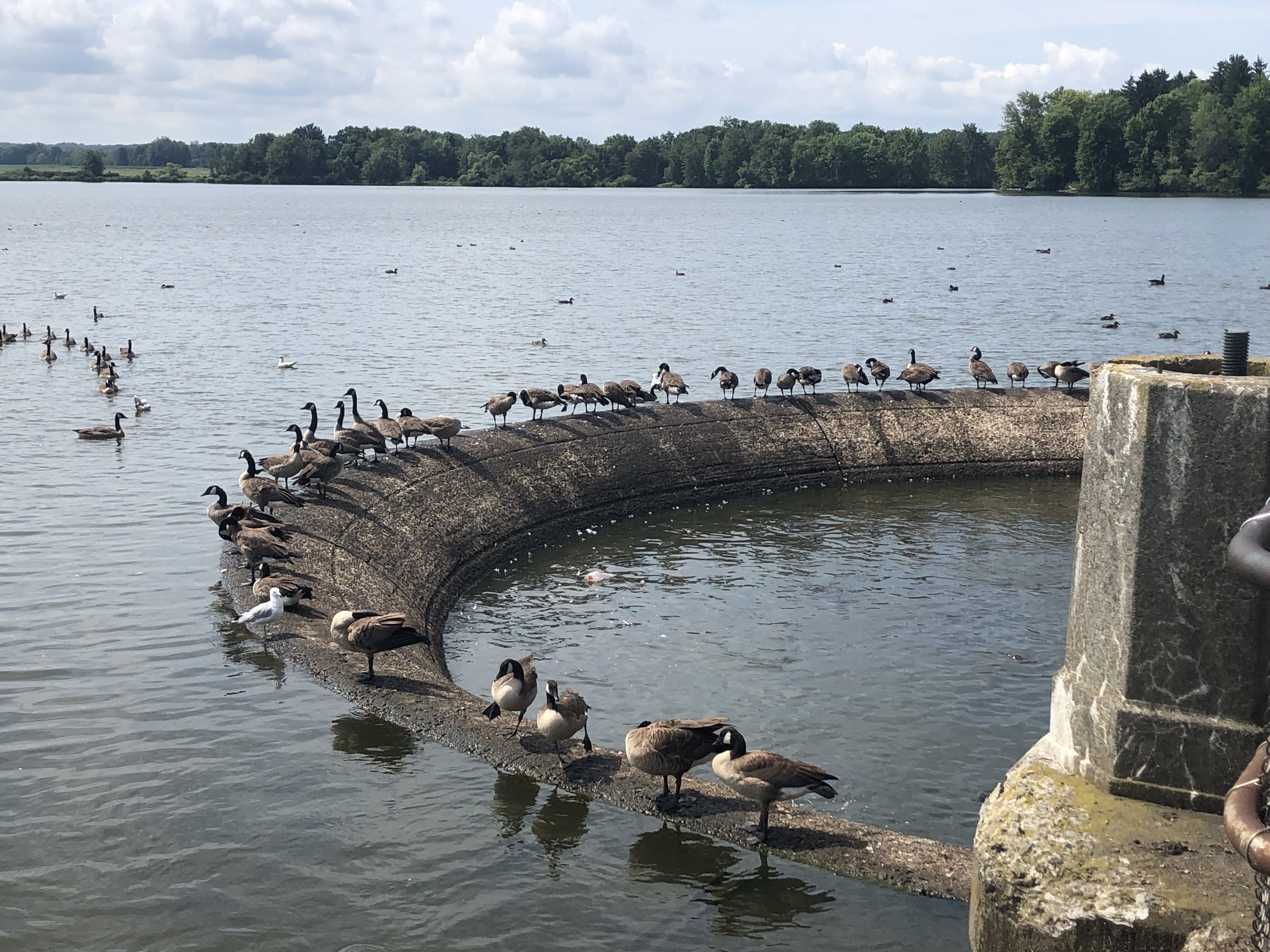 Pymatuning Spillway - cleveland.com