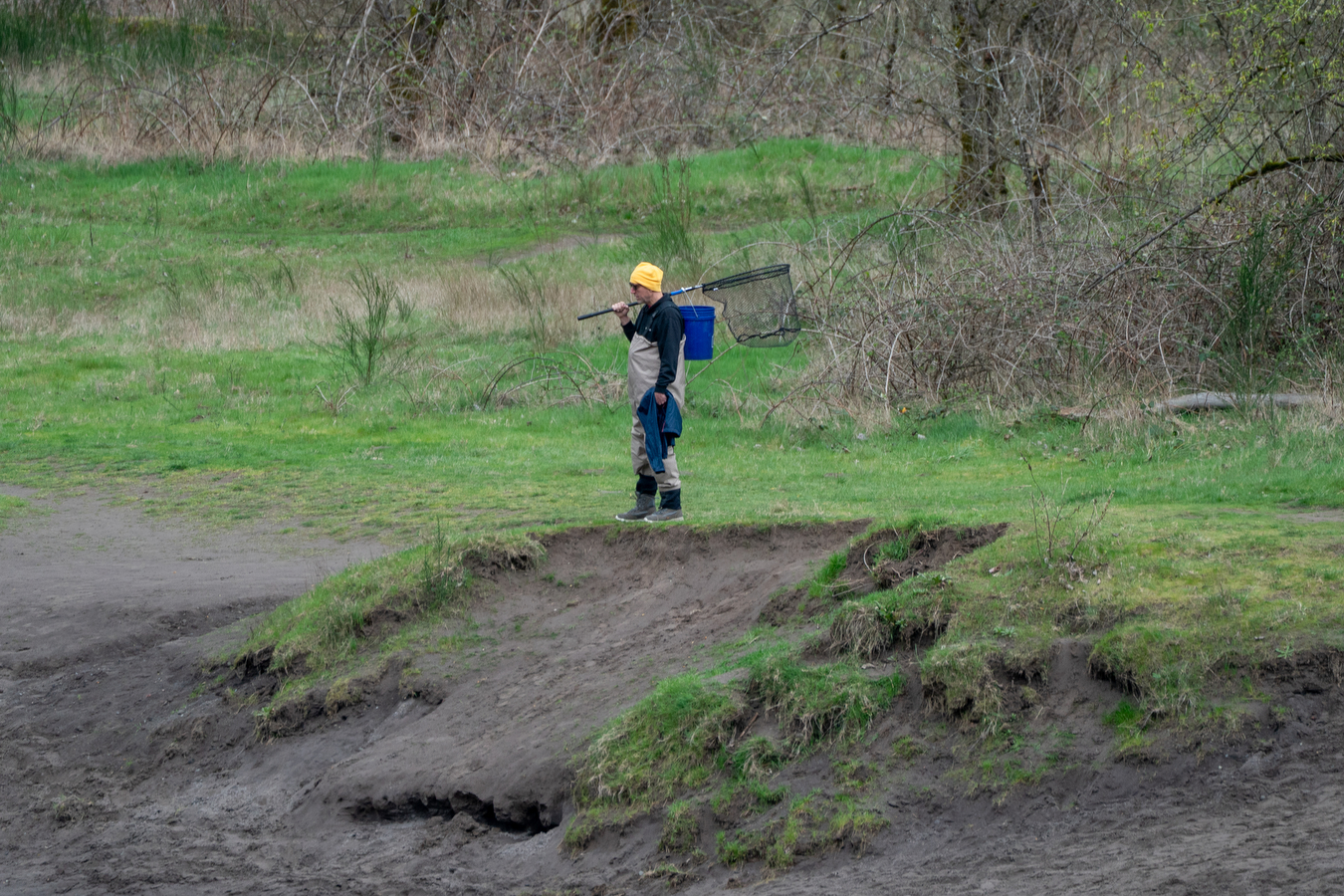 Sandy River smelt run 2025 - oregonlive.com