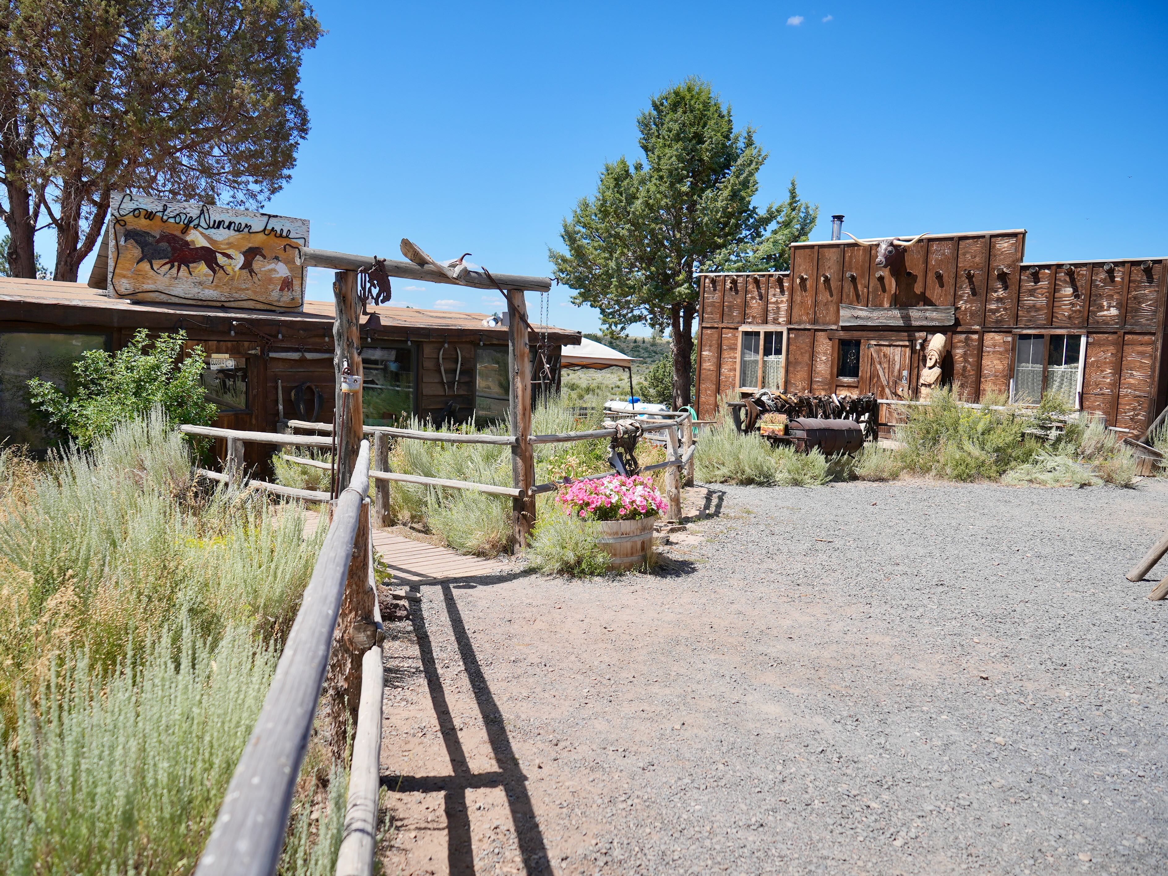 Cowboy Dinner Tree - oregonlive.com