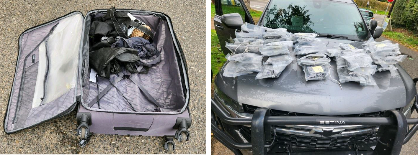 Sophisticated drug trafficker concealed meth in cars' gas tanks, feds ...