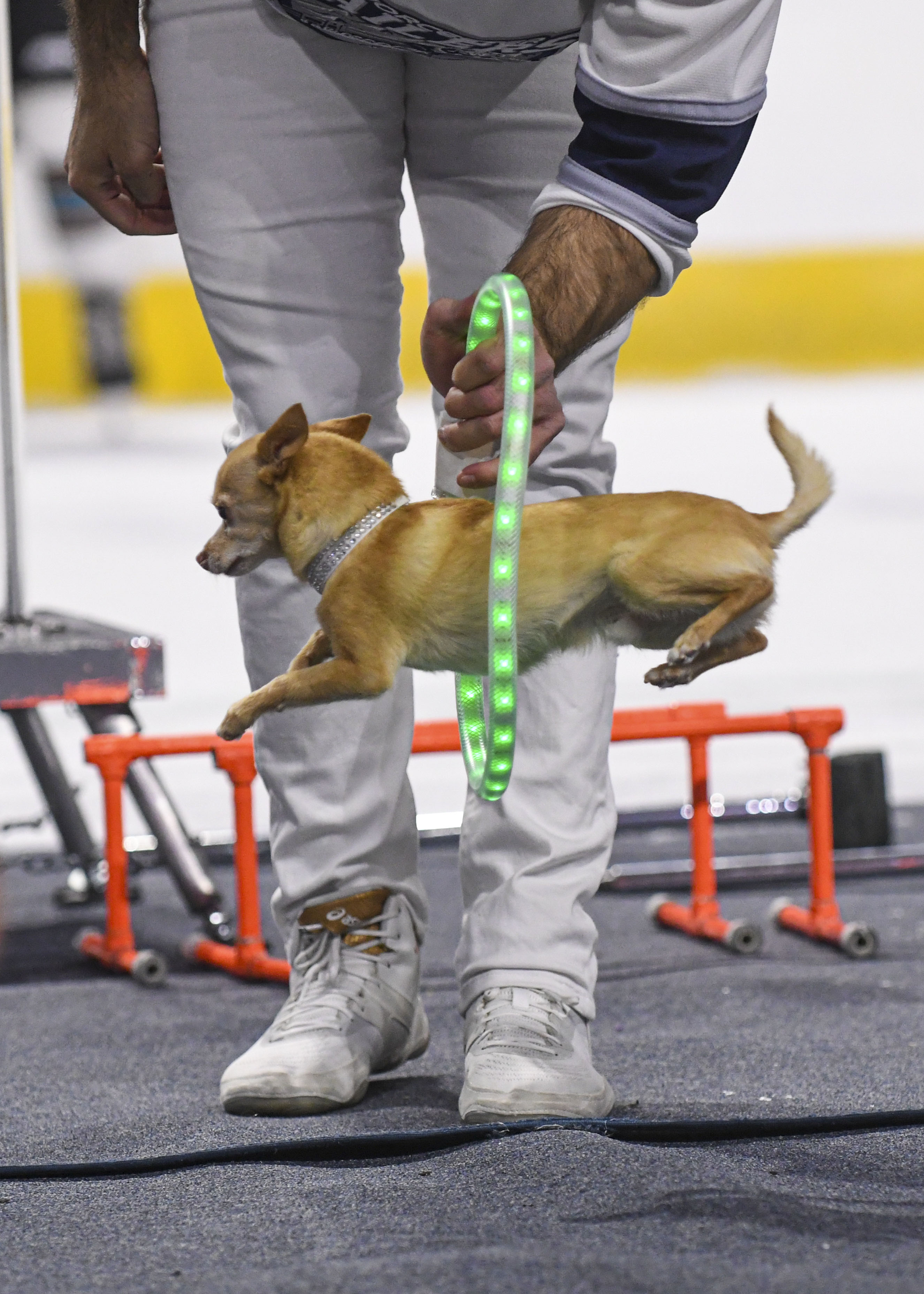 Worcester Railers 2023-24 Home Opener Hockey - masslive.com