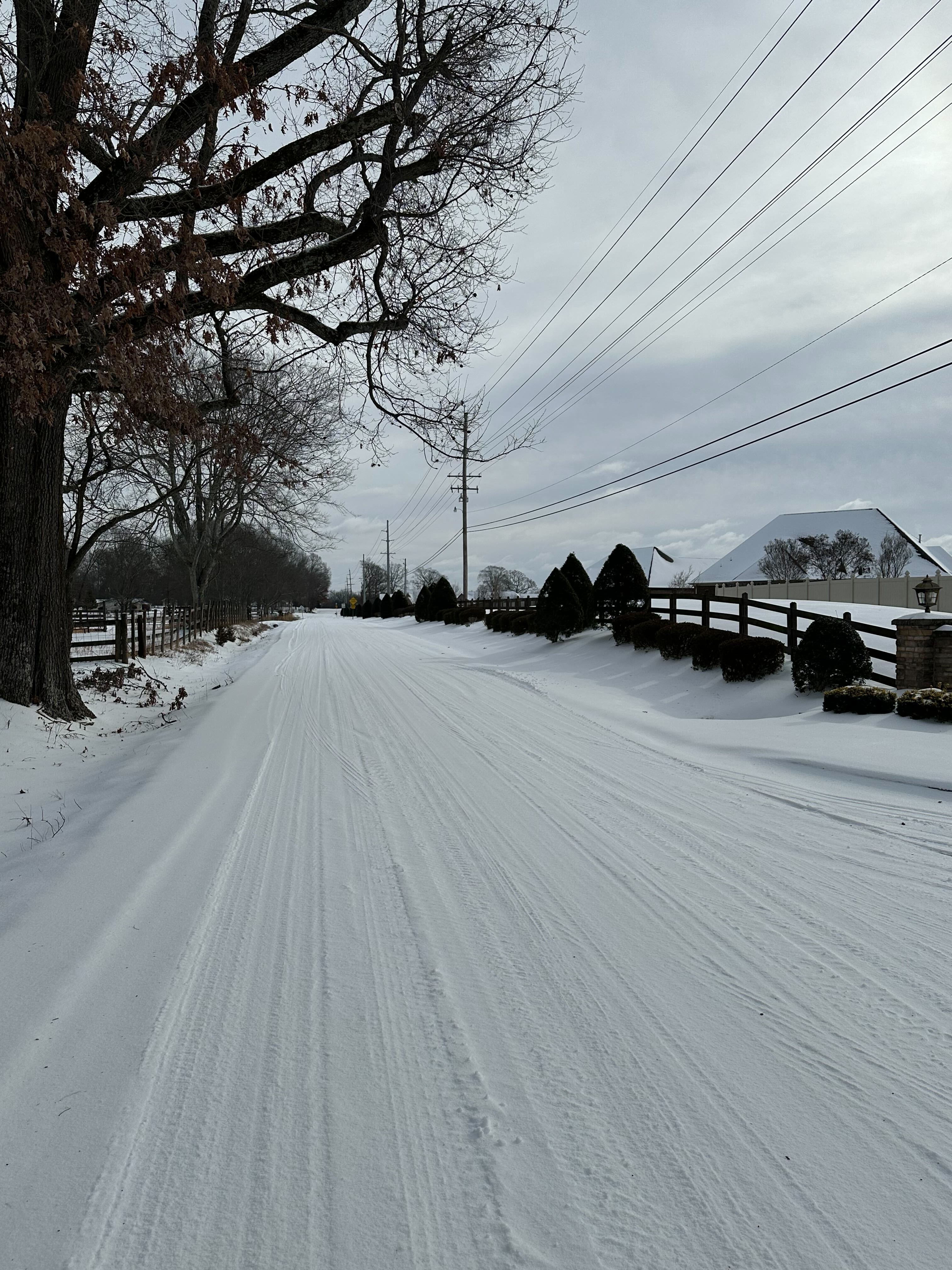 Alabama snow January 2024 - al.com