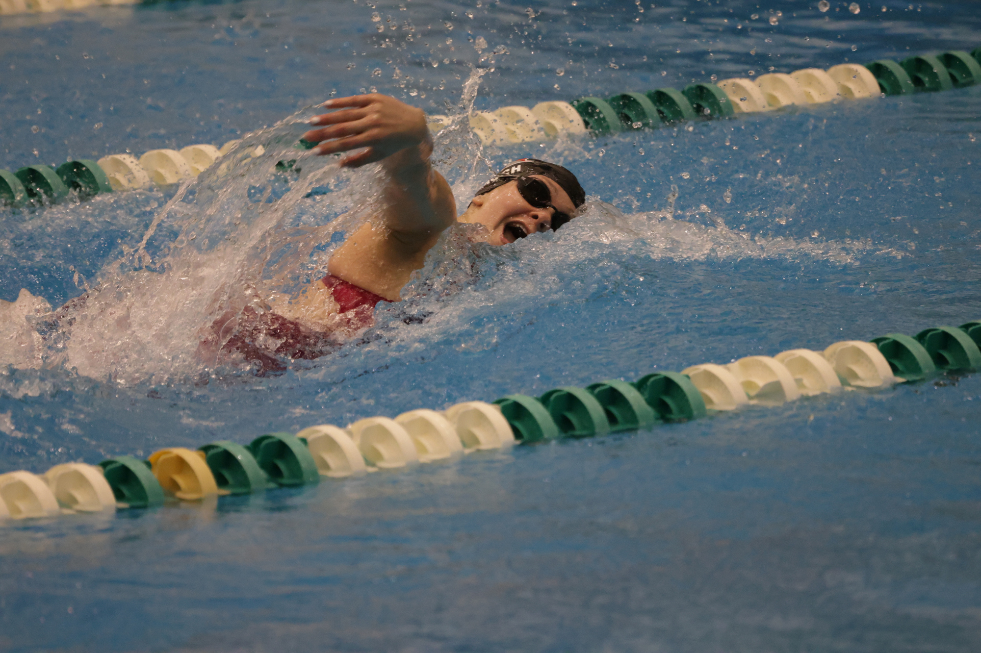 49th Viking Invitational Swim Meet at CSU - cleveland.com