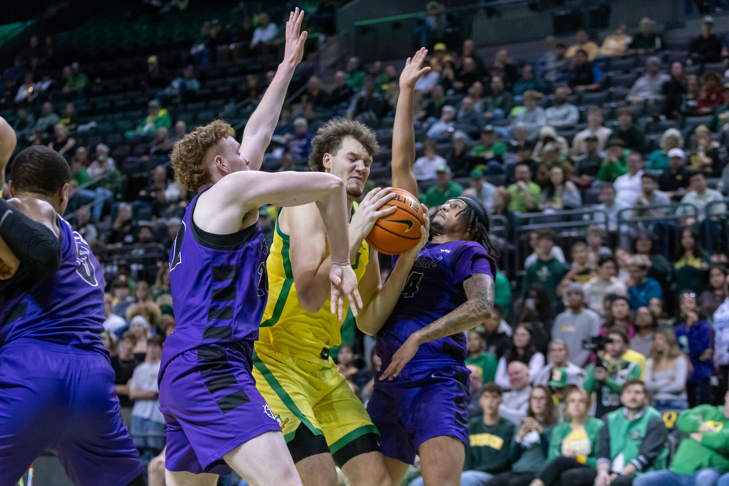 Oregon Ducks vs. Portland Pilots men's basketball: Nov. 12, 2024 ...