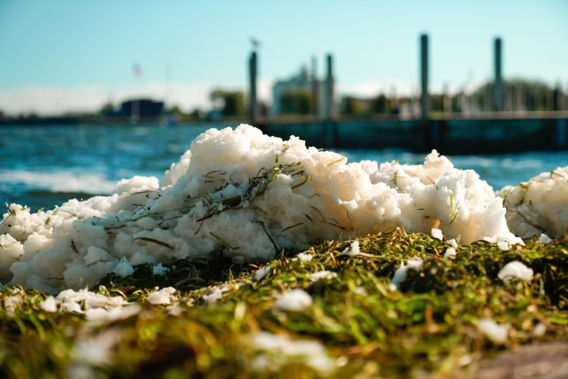 Testing finds PFAS in Muskegon Lake foam - mlive.com