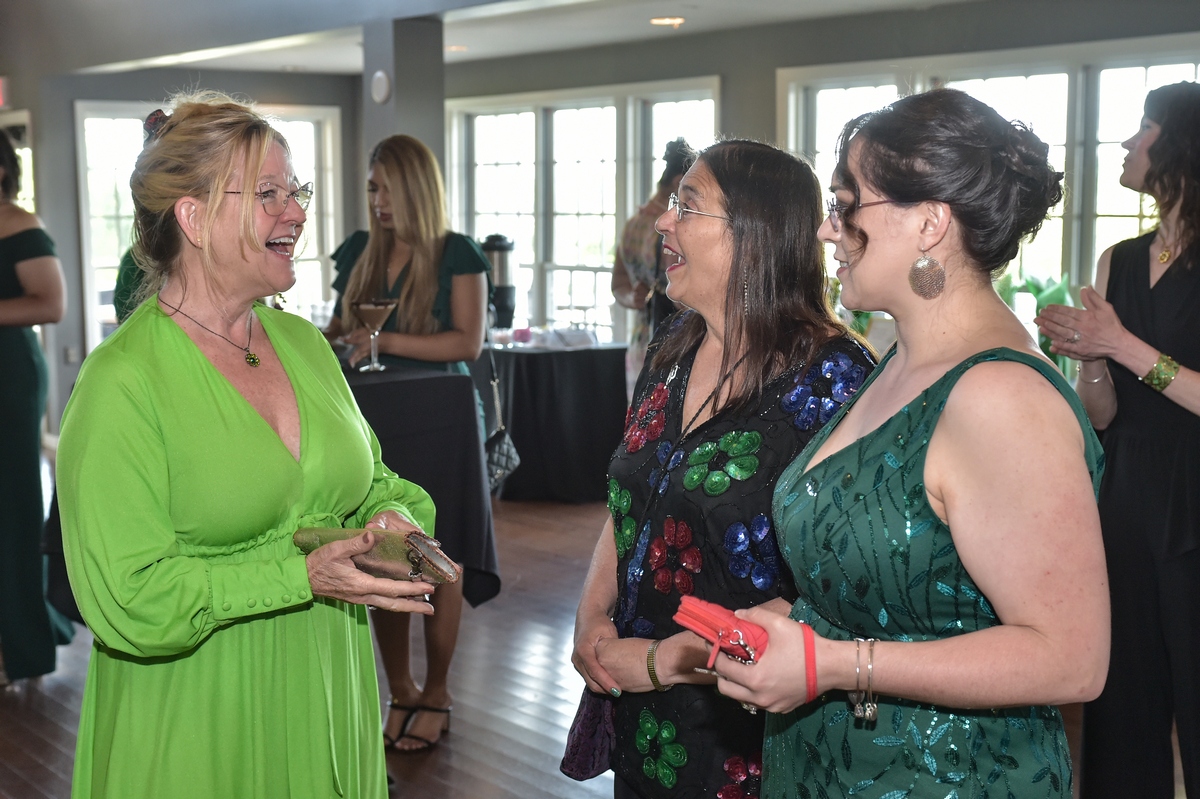 Girl Scouts launch first-ever Green is the New Black gala (Photos ...